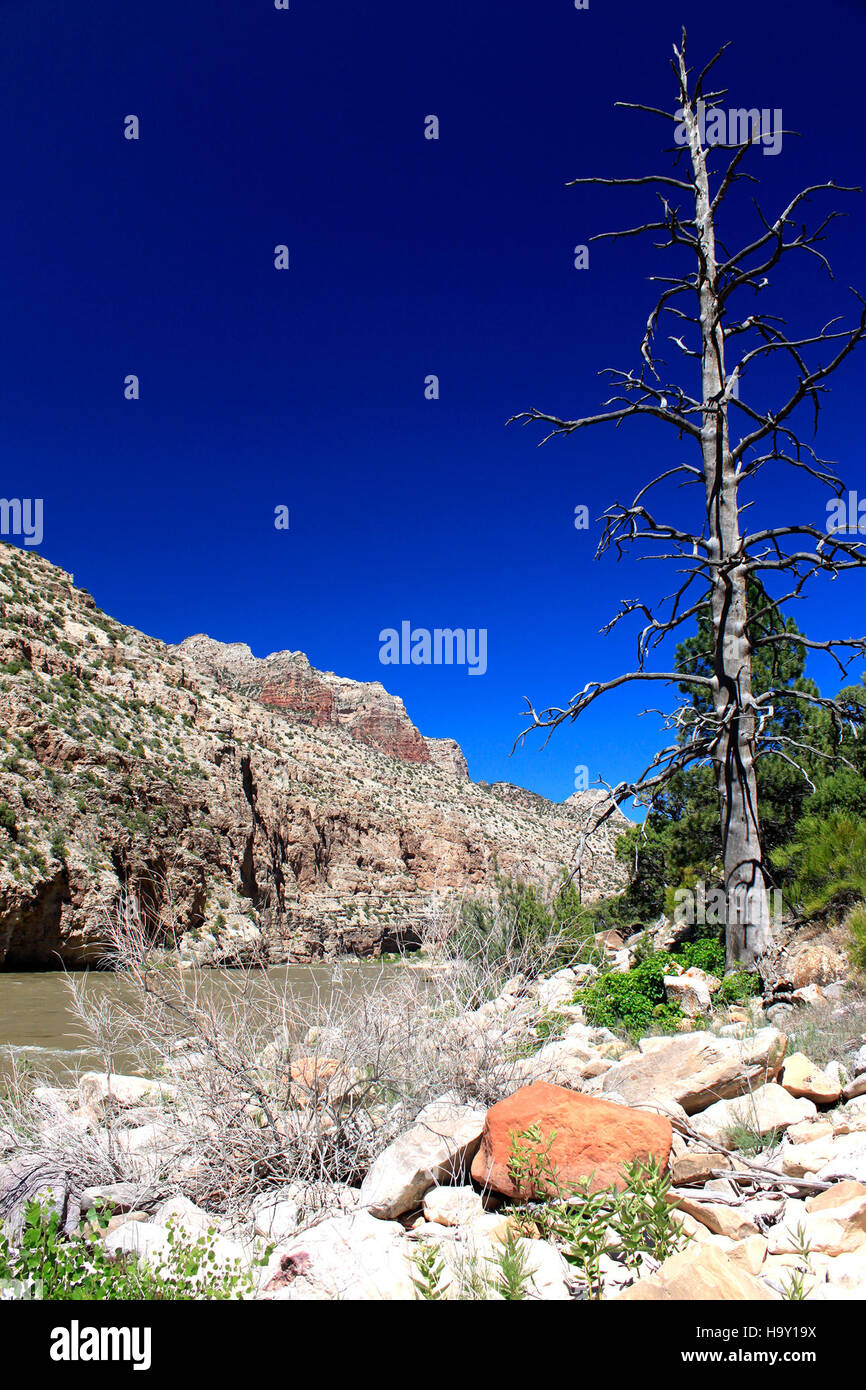 Rich skelton hi-res stock photography and images - Alamy