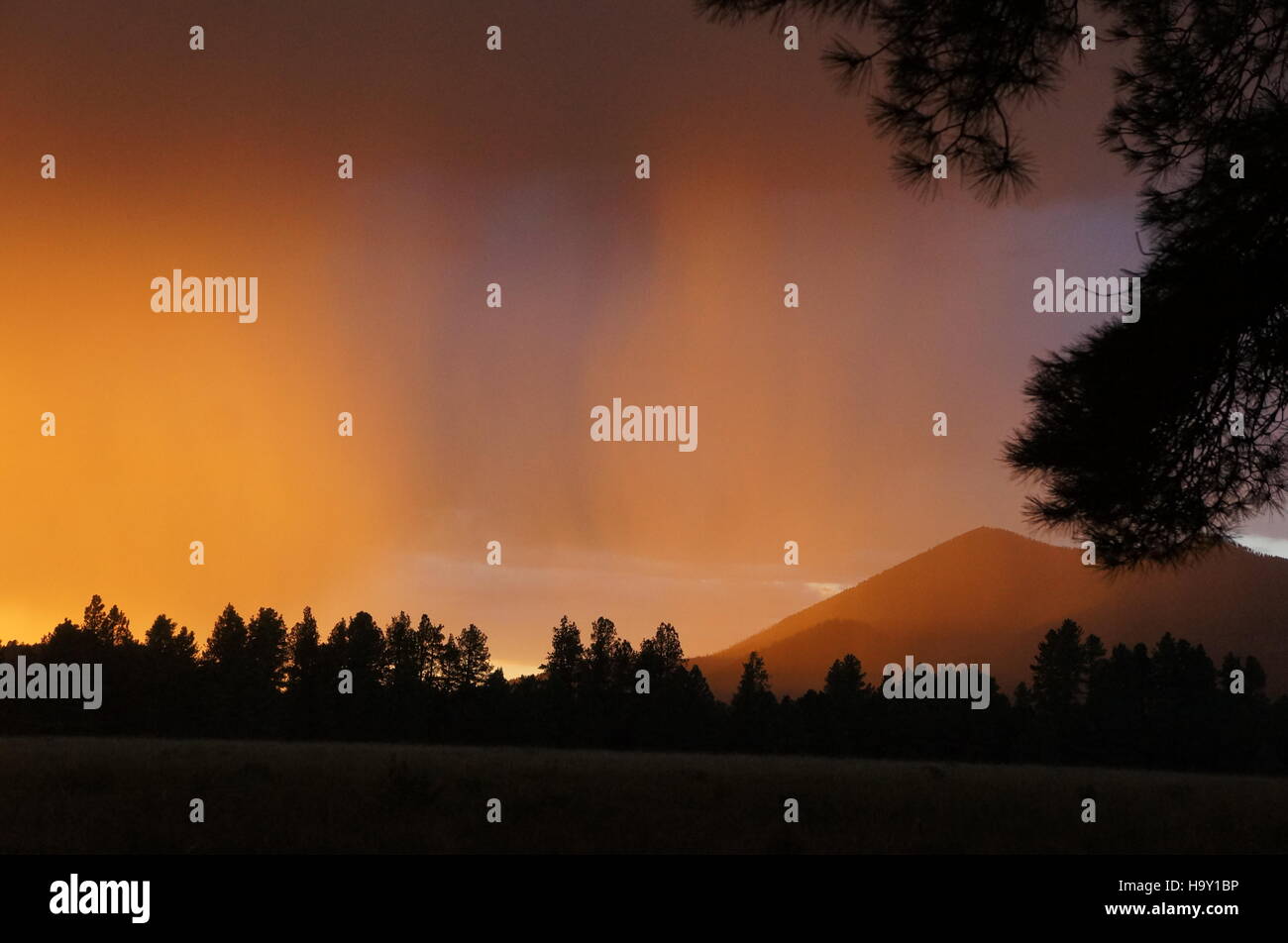 Rain sunset hi-res stock photography and images - Alamy