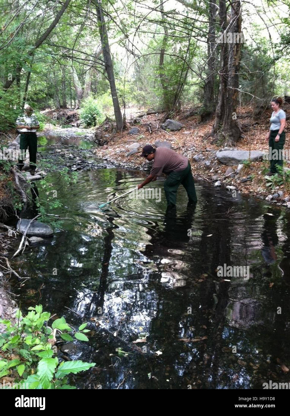 Damage assessment response team hi-res stock photography and images - Alamy