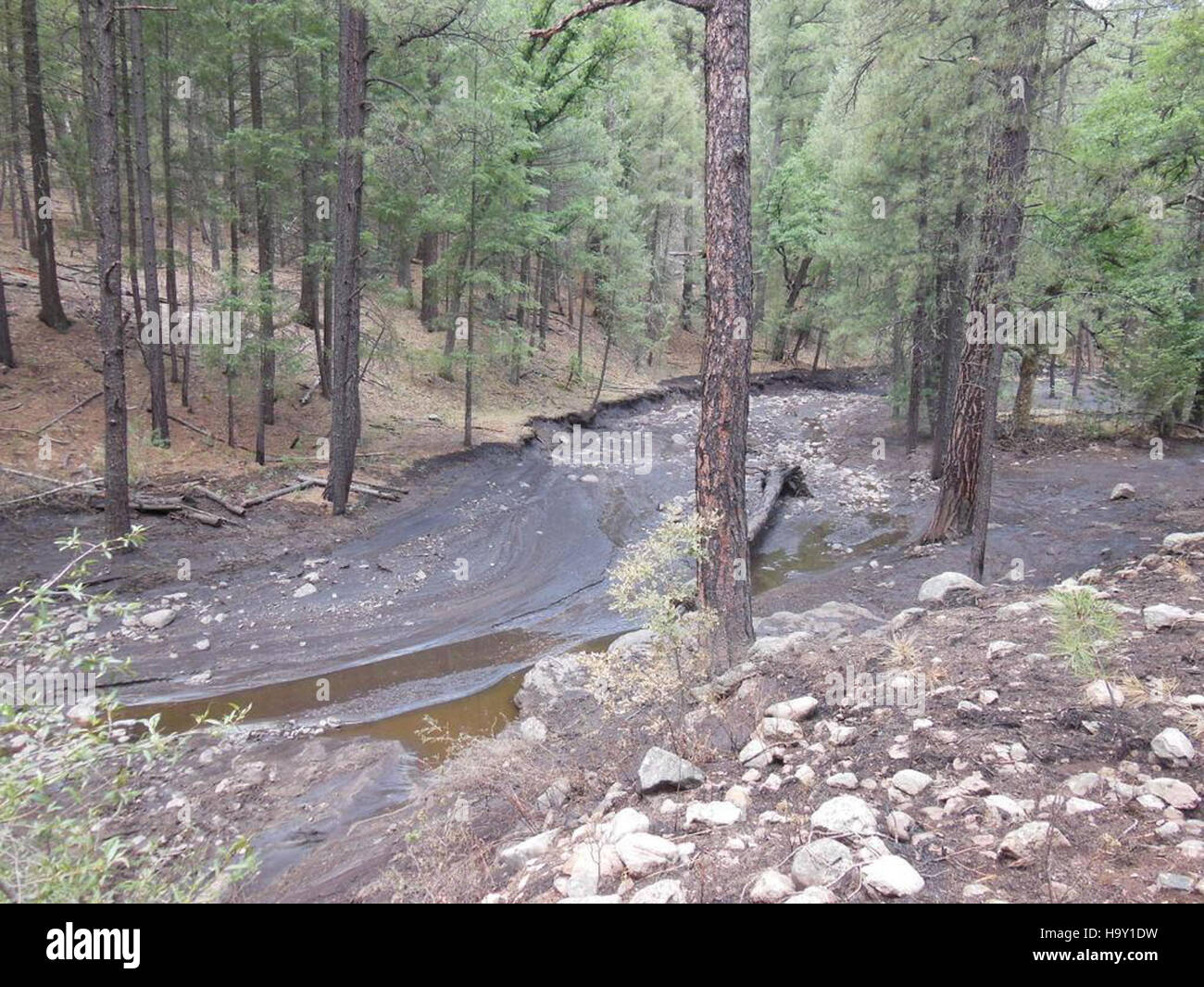 This image depicts the aftermath of the Silver Fire and the ...