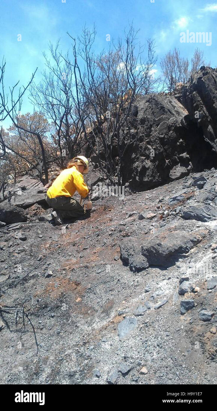 The Burned Area Emergency Response (BAER) team responds to forest fires ...
