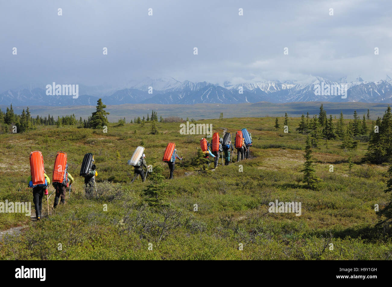 Hiking in Denali National Park offers a unique opportunity to explore ...