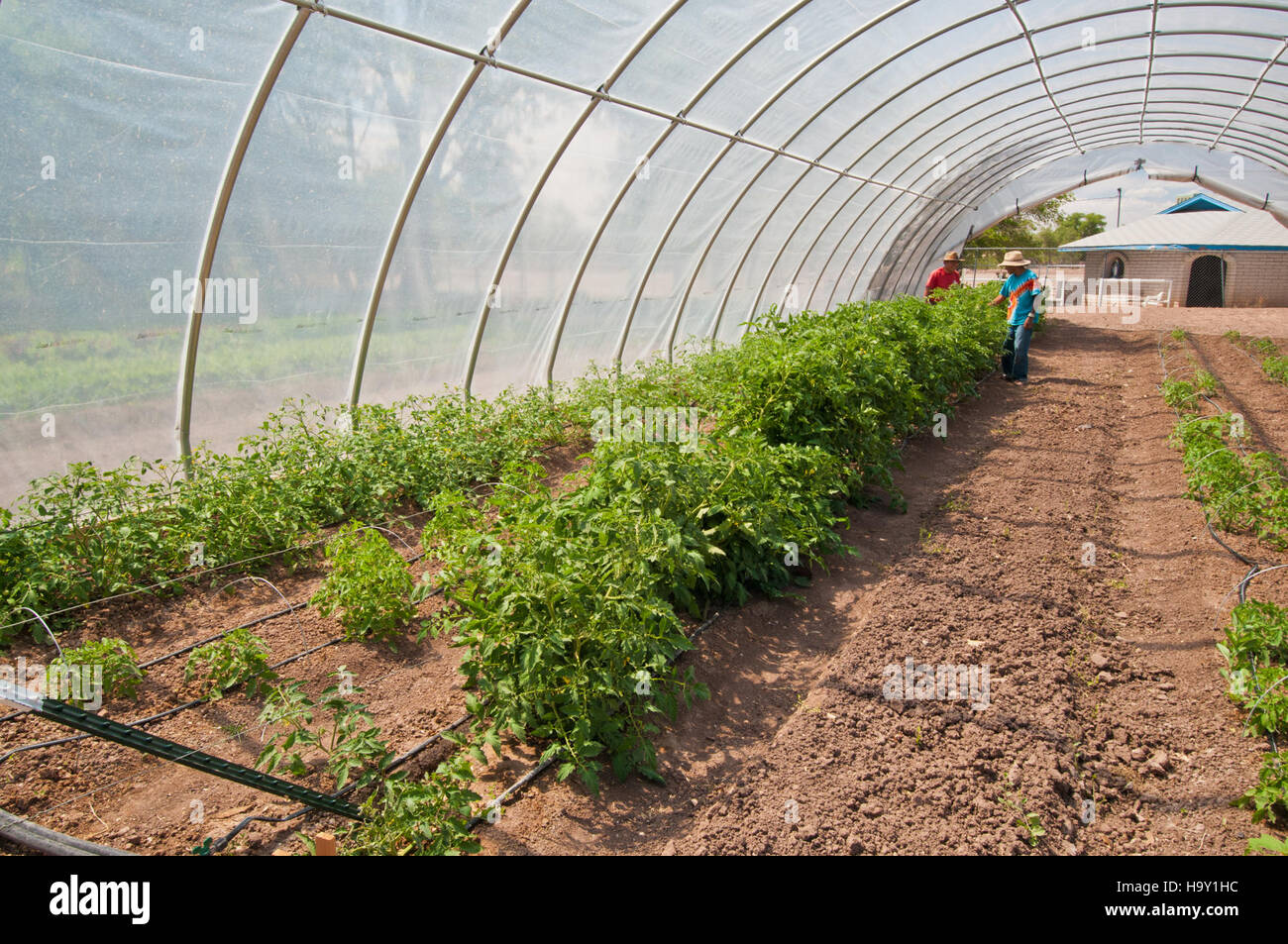 The USDA’s Strike Force Initiative in New Mexico supports local farmers ...