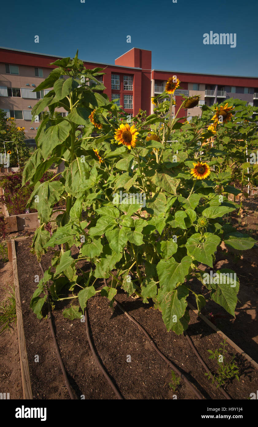 9544 hi-res stock photography and images - Alamy