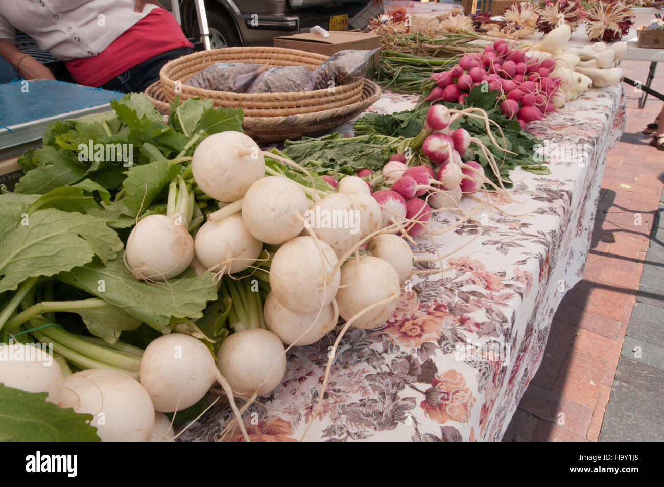 The USDA's Strike Force Initiative in Santa Fe supports farmers and ...