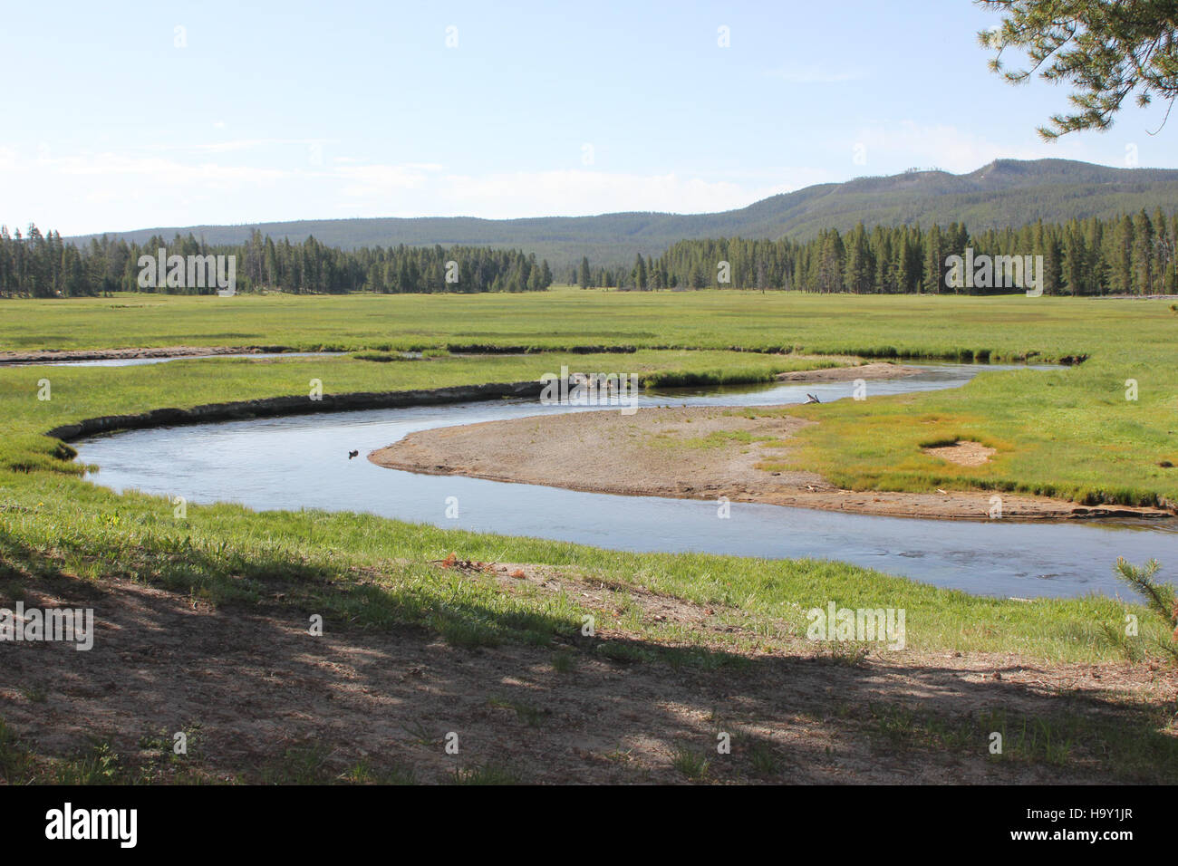 The Gibbon River flows through Yellowstone National Park, as seen from ...