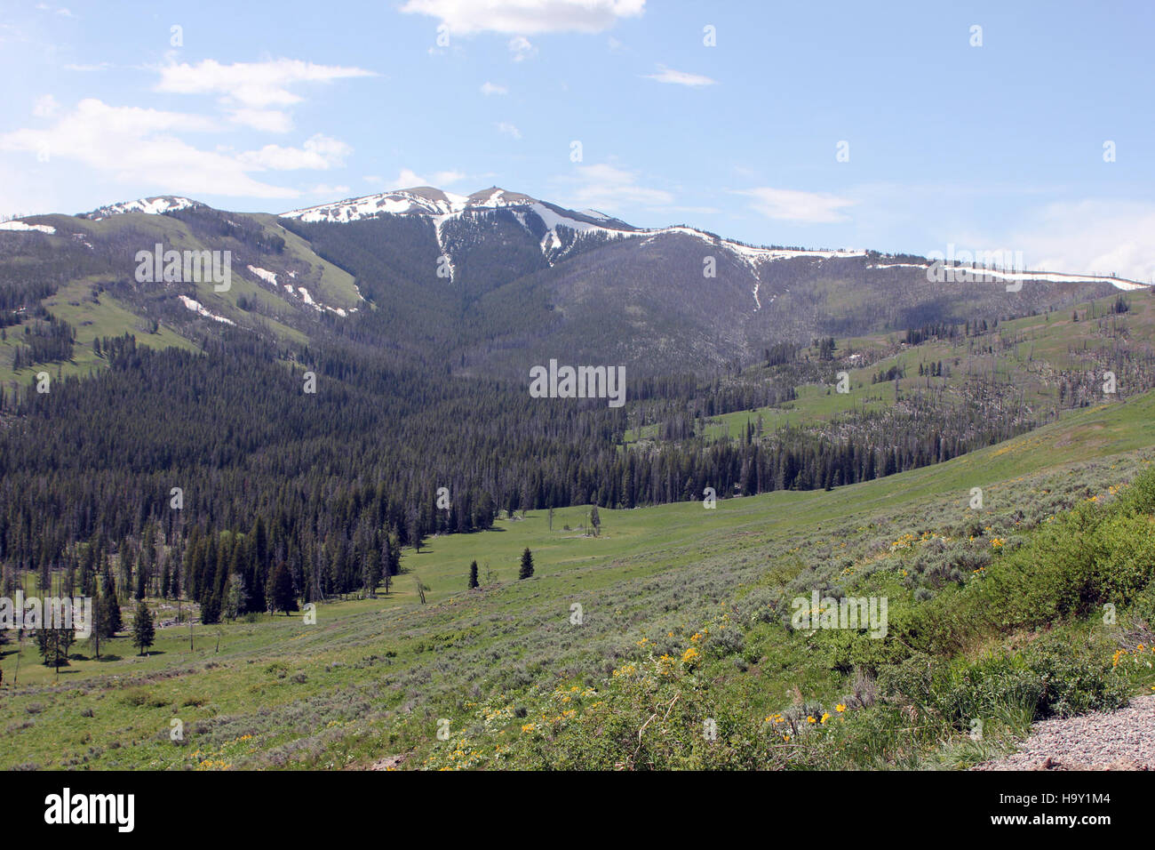 Mount washburn yellowstone national park hi-res stock photography and ...