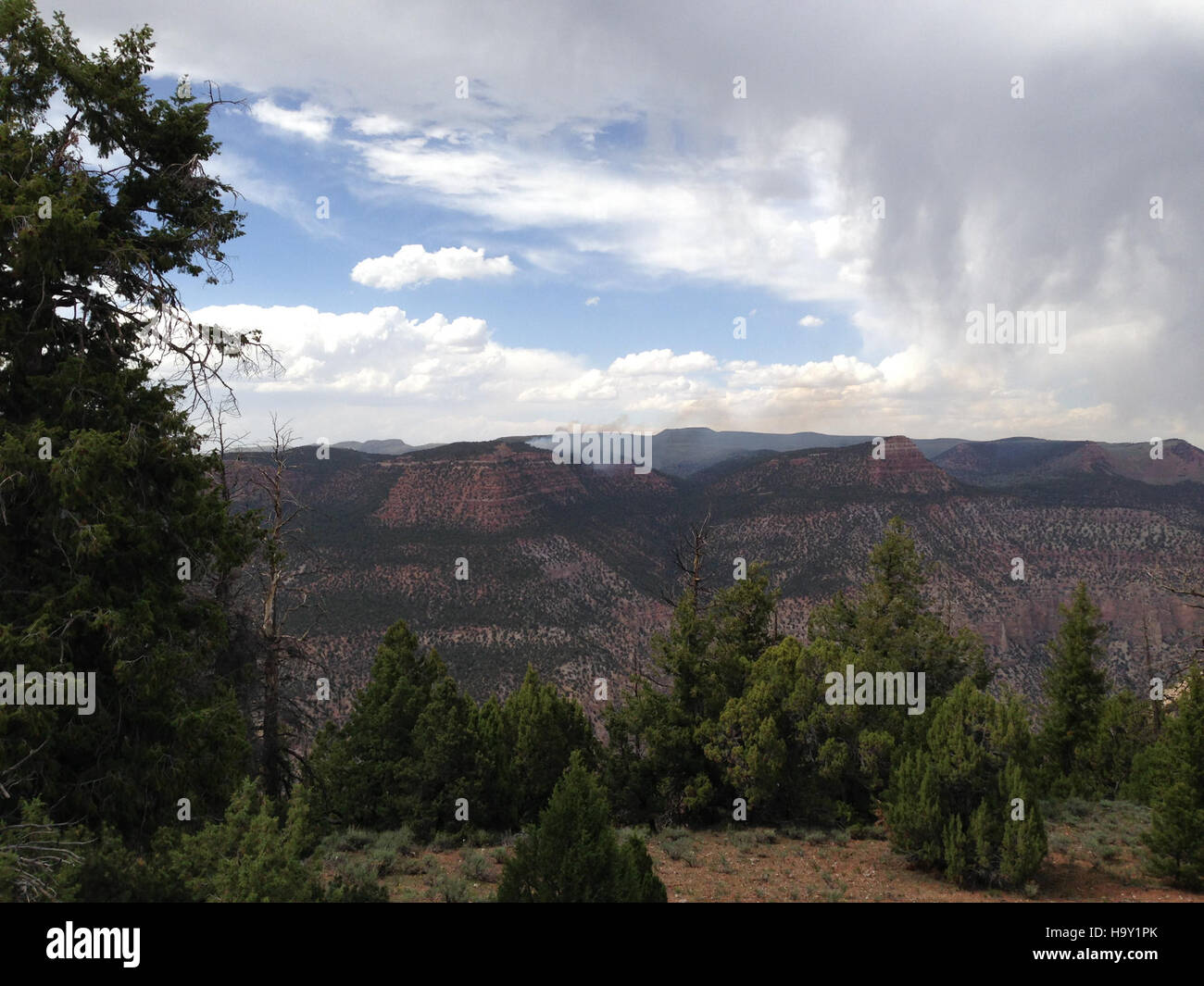 A photograph taken at Dinosaur National Monument, showing the preserved ...