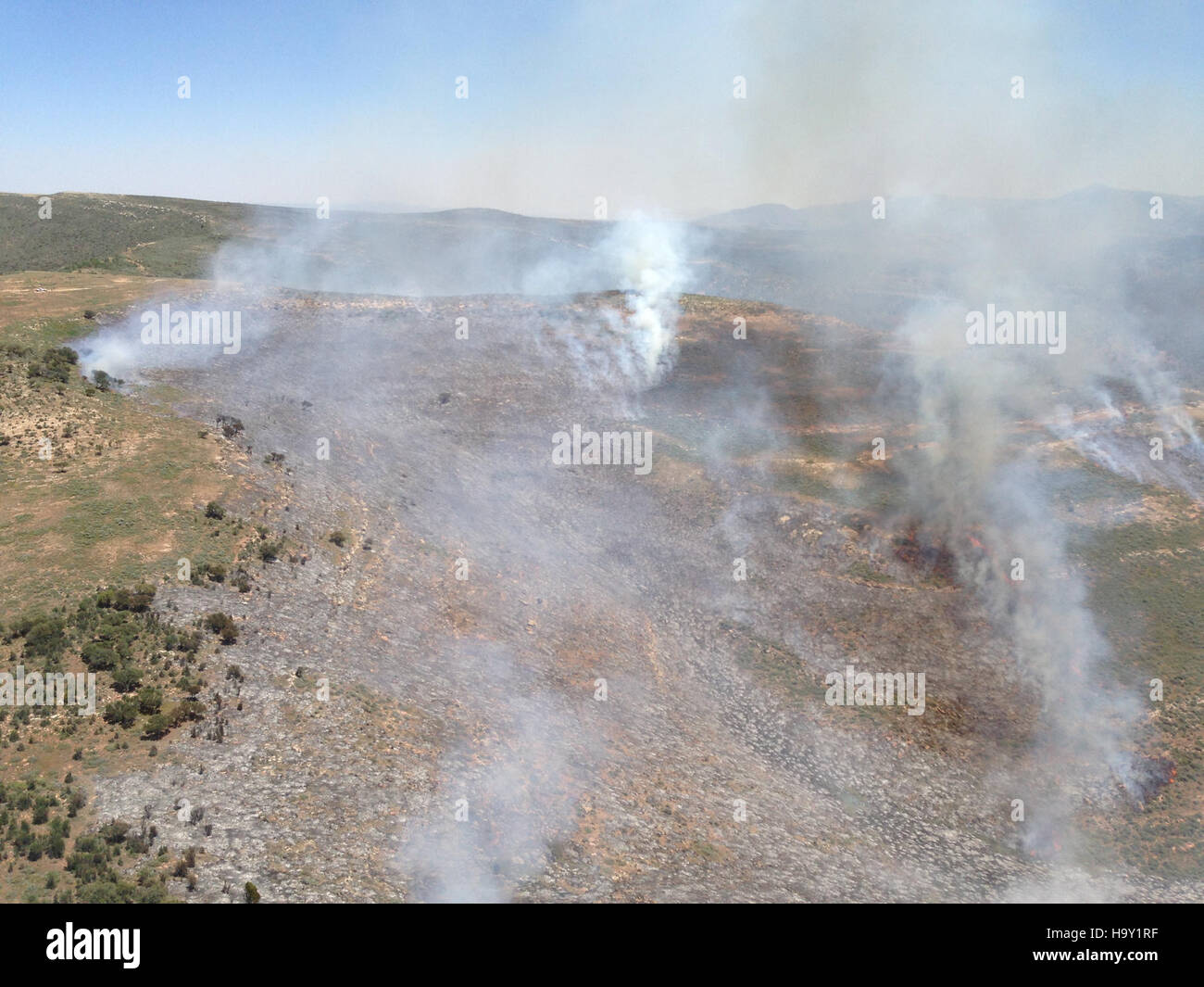 This image showcases a significant moment in the Dinosaur National ...