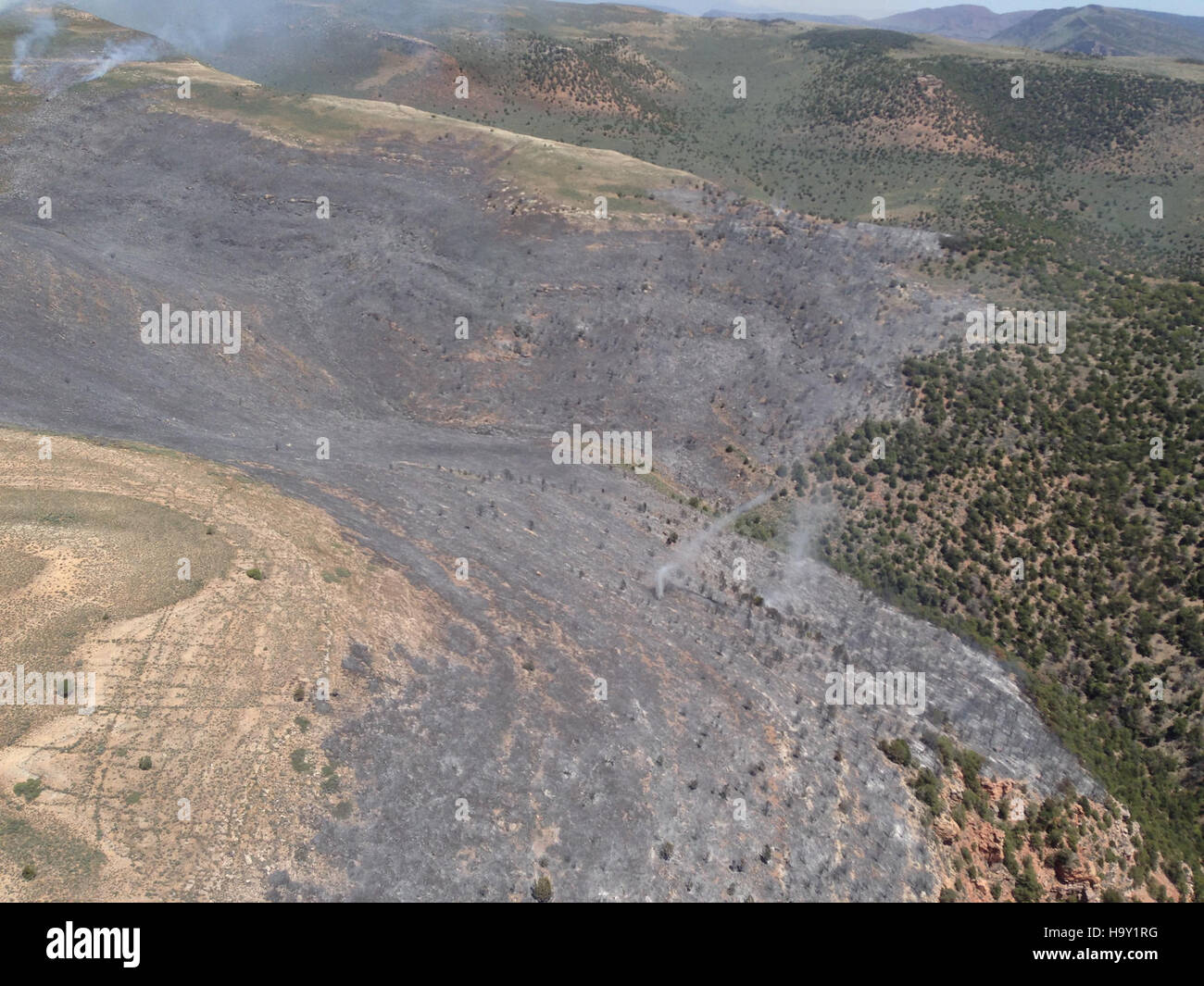 A view of dinosaur fossils preserved within Dinosaur National Monument ...
