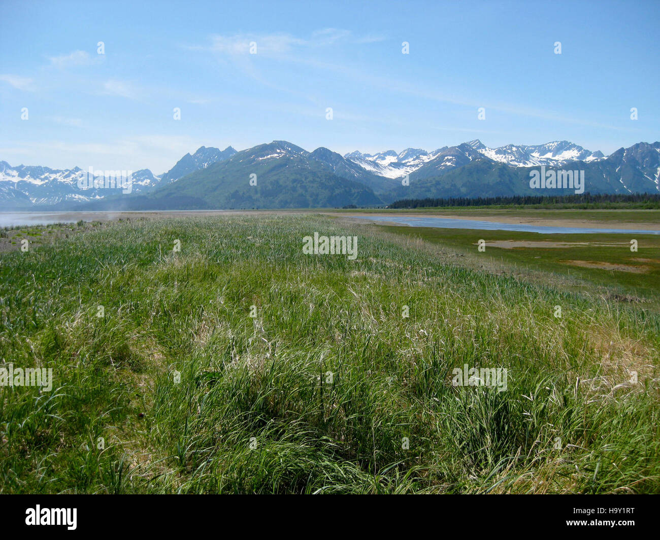 At Lake Clark National Park, visitors can observe bears in their ...