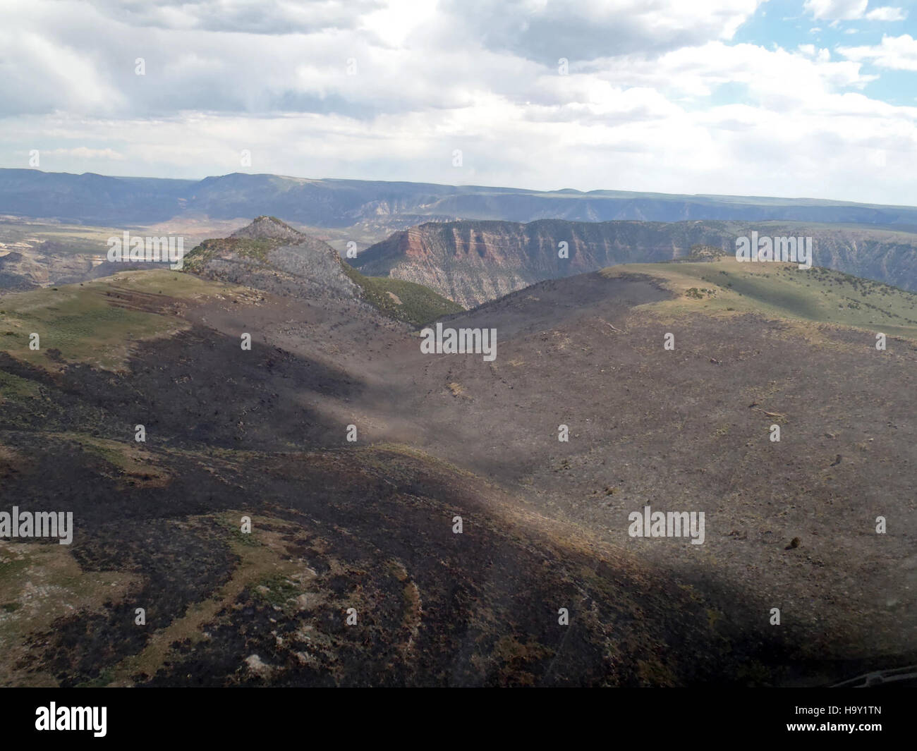 A wildfire, often referred to as a 'wildfire hacking fire,' can be a ...