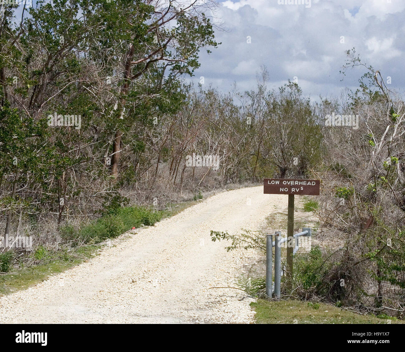 Bear Lake Trail in Everglades National Park is a popular hiking route ...