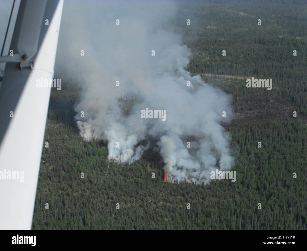 alaskanps 9094307217 Kristin Creek Fire, June 19 Photo by Arno Krumm ...