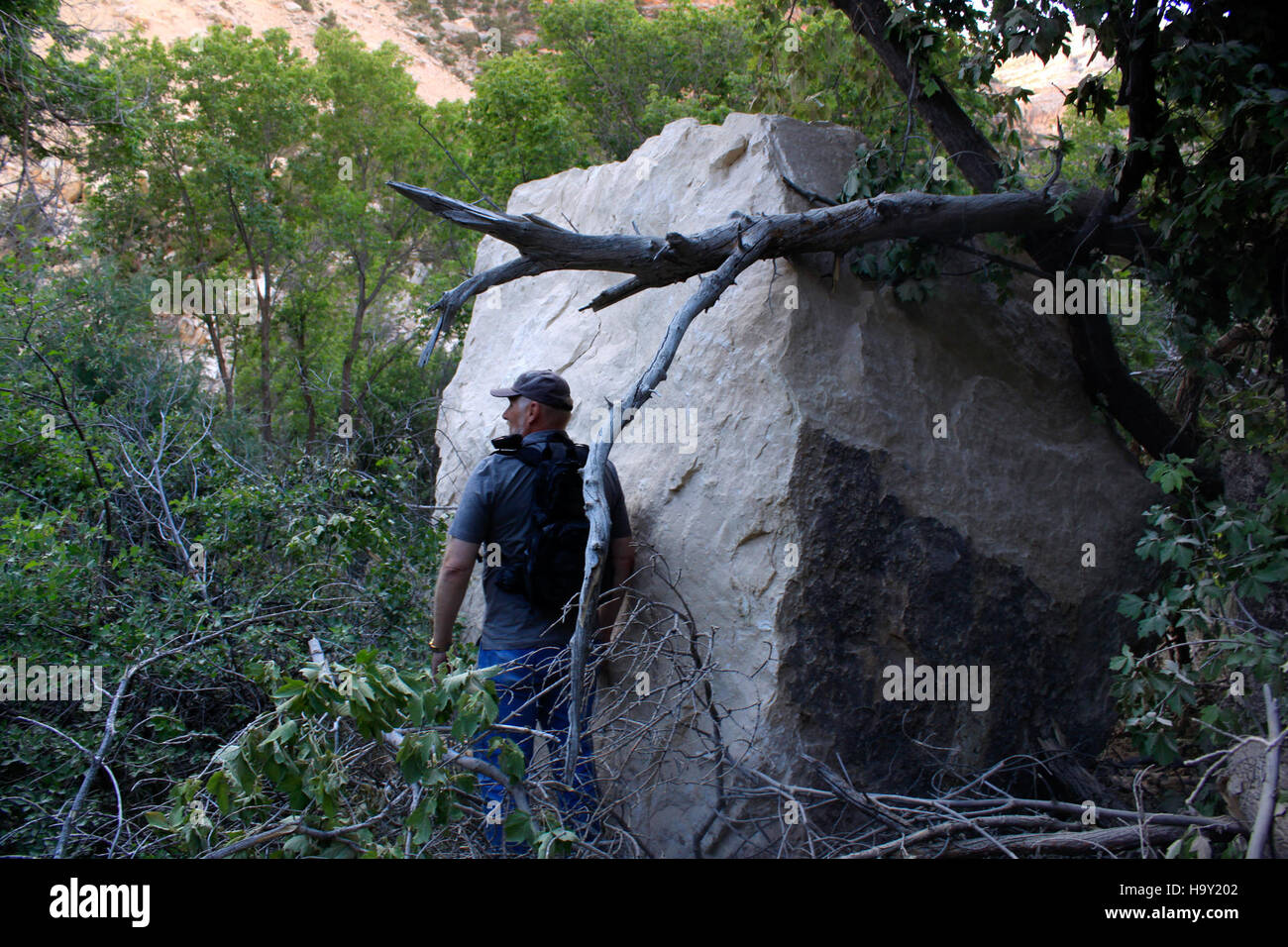 A person stands beside a massive boulder displaced by a rockslide, a ...