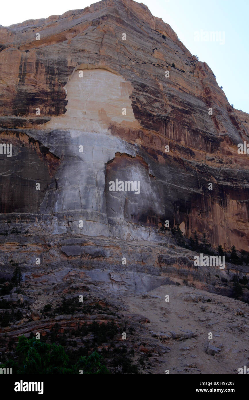 A fossil from Dinosaur National Monument, highlighting the geological ...