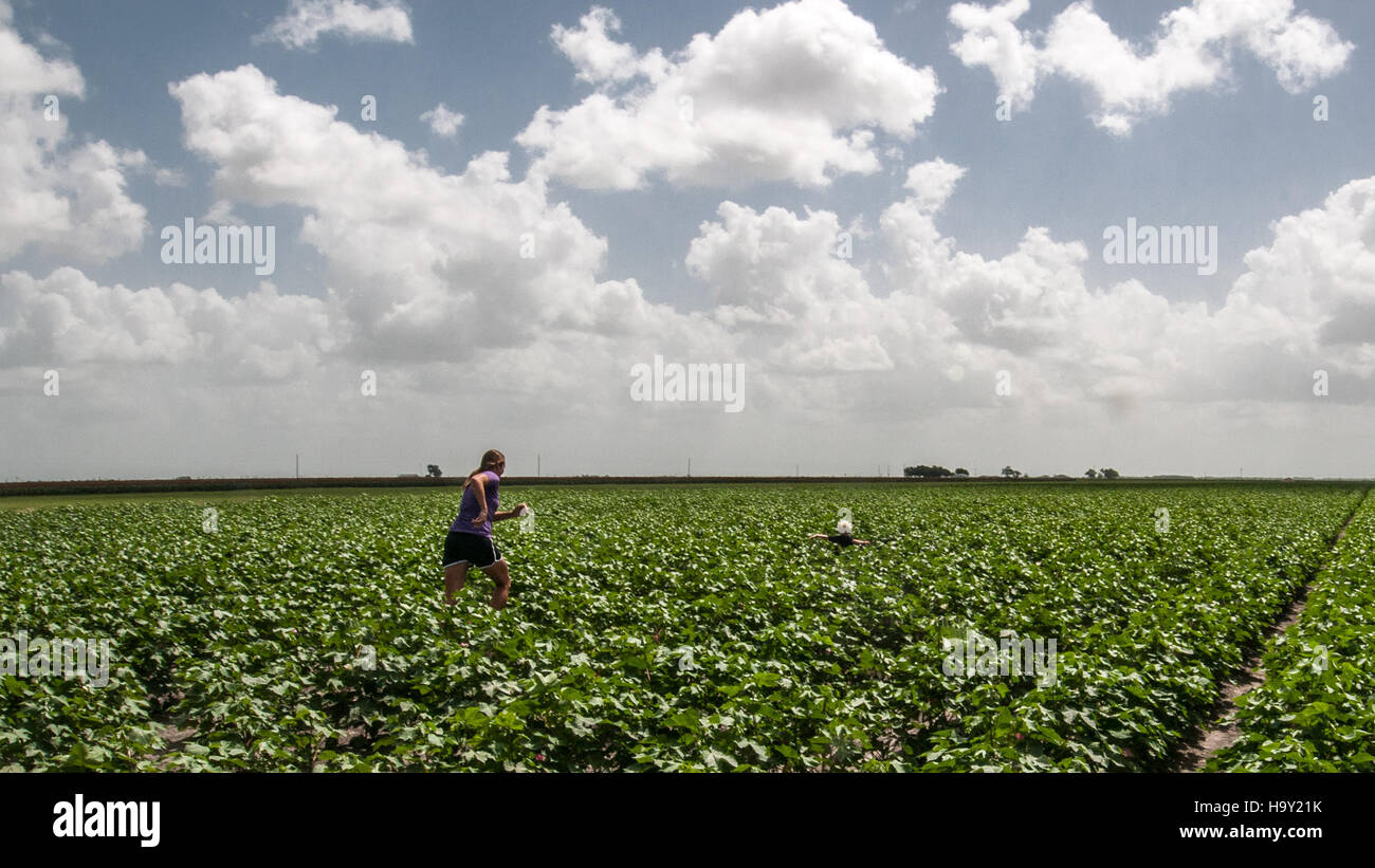 Popp Farms, a family-operated farm in El Campo, Texas, continues its ...