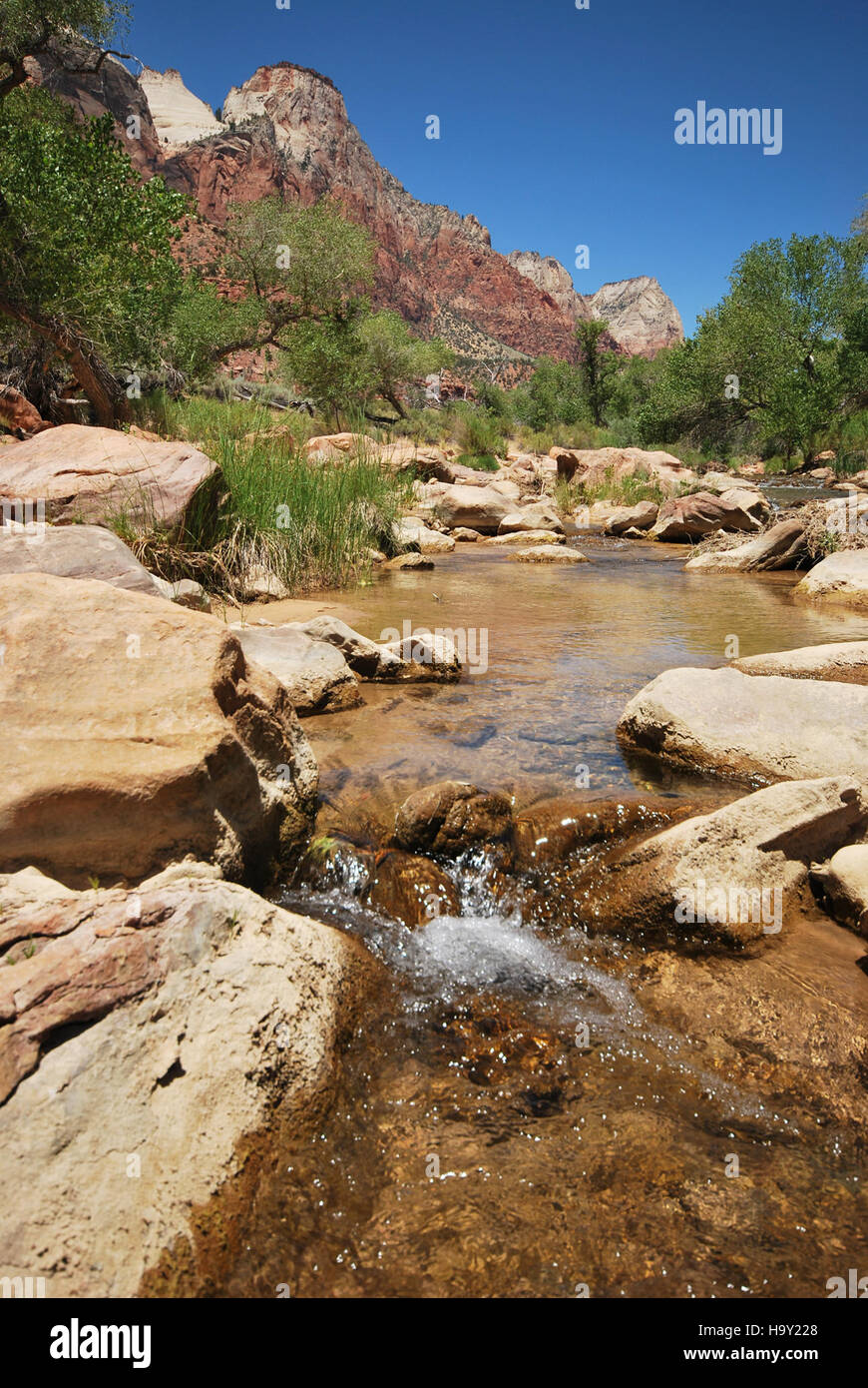 The Summer Solstice at Zion National Park marks the longest day of the ...
