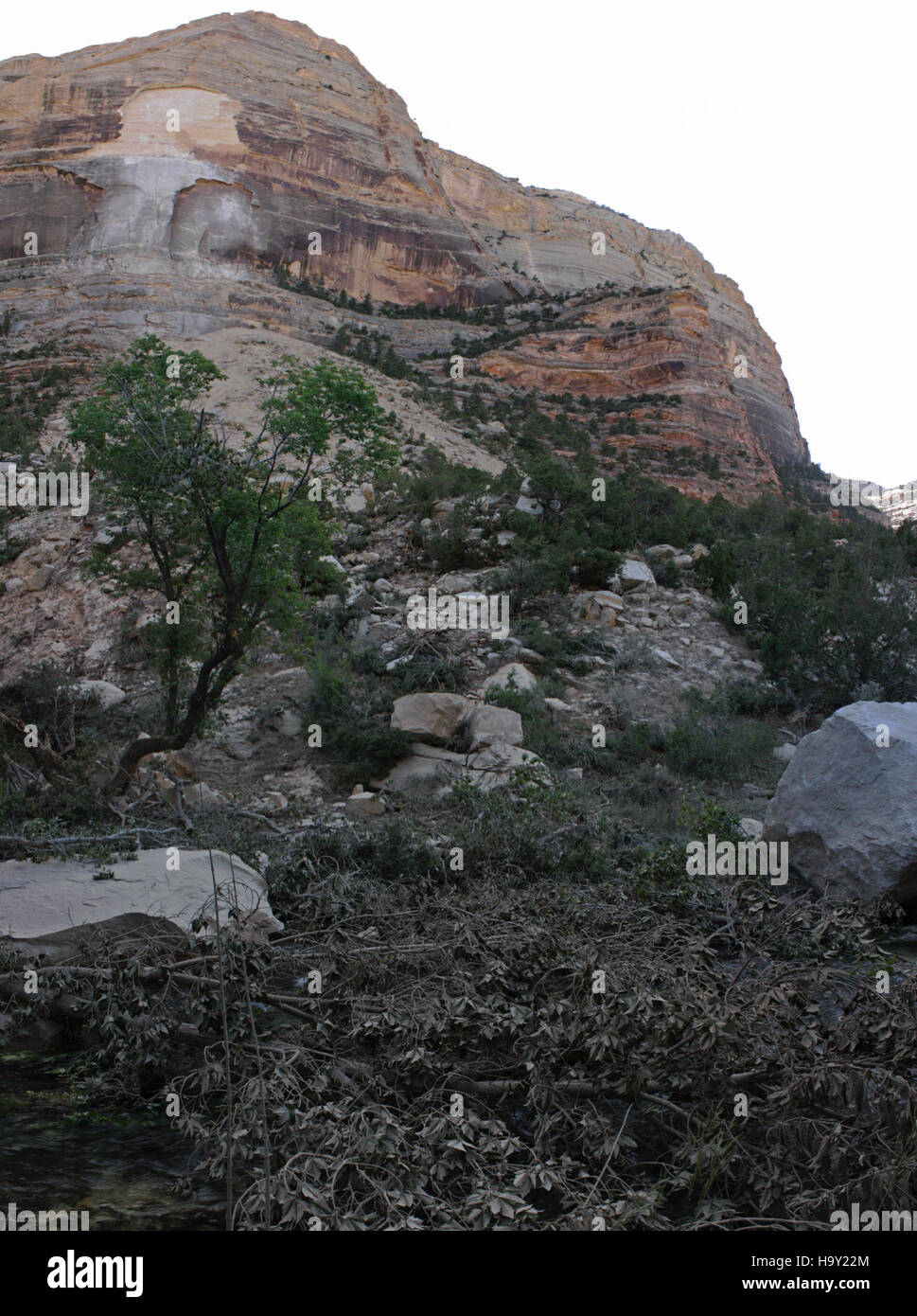 dinosaurnps 9099318191 Jones Hole Rockfall Panorama Stock Photo - Alamy