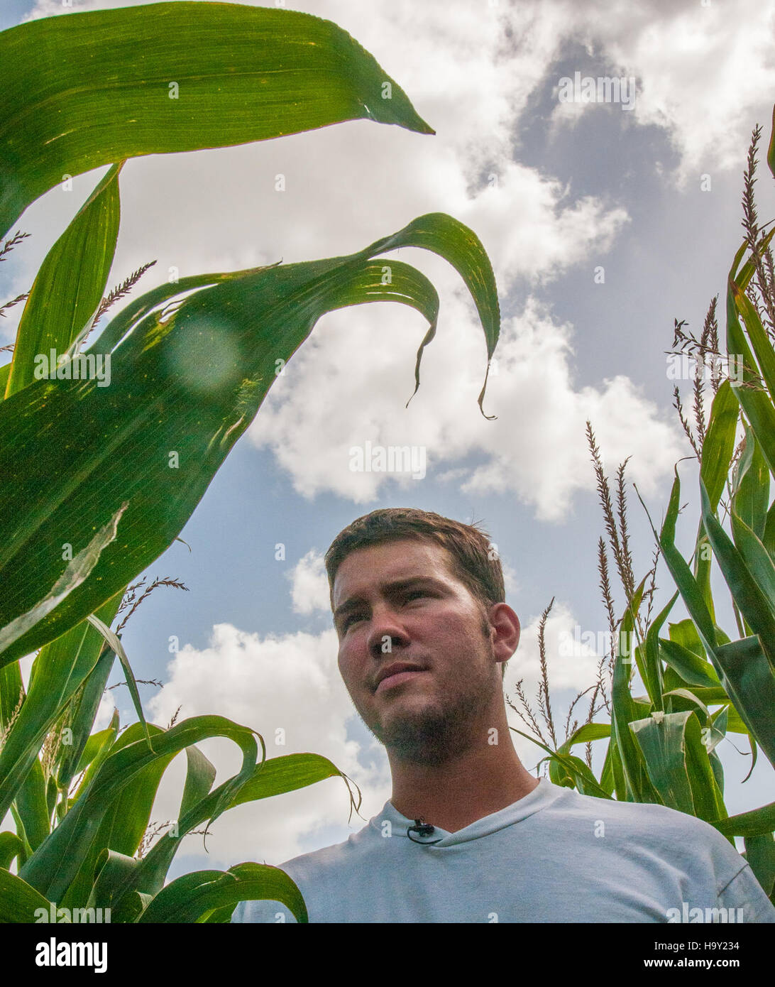 Usda tools hi-res stock photography and images - Alamy