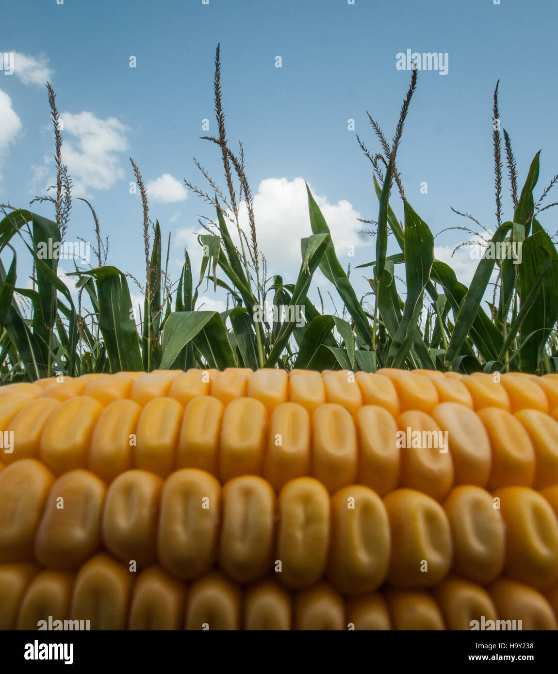 This USDA program highlights the importance of GPS and technology in ...