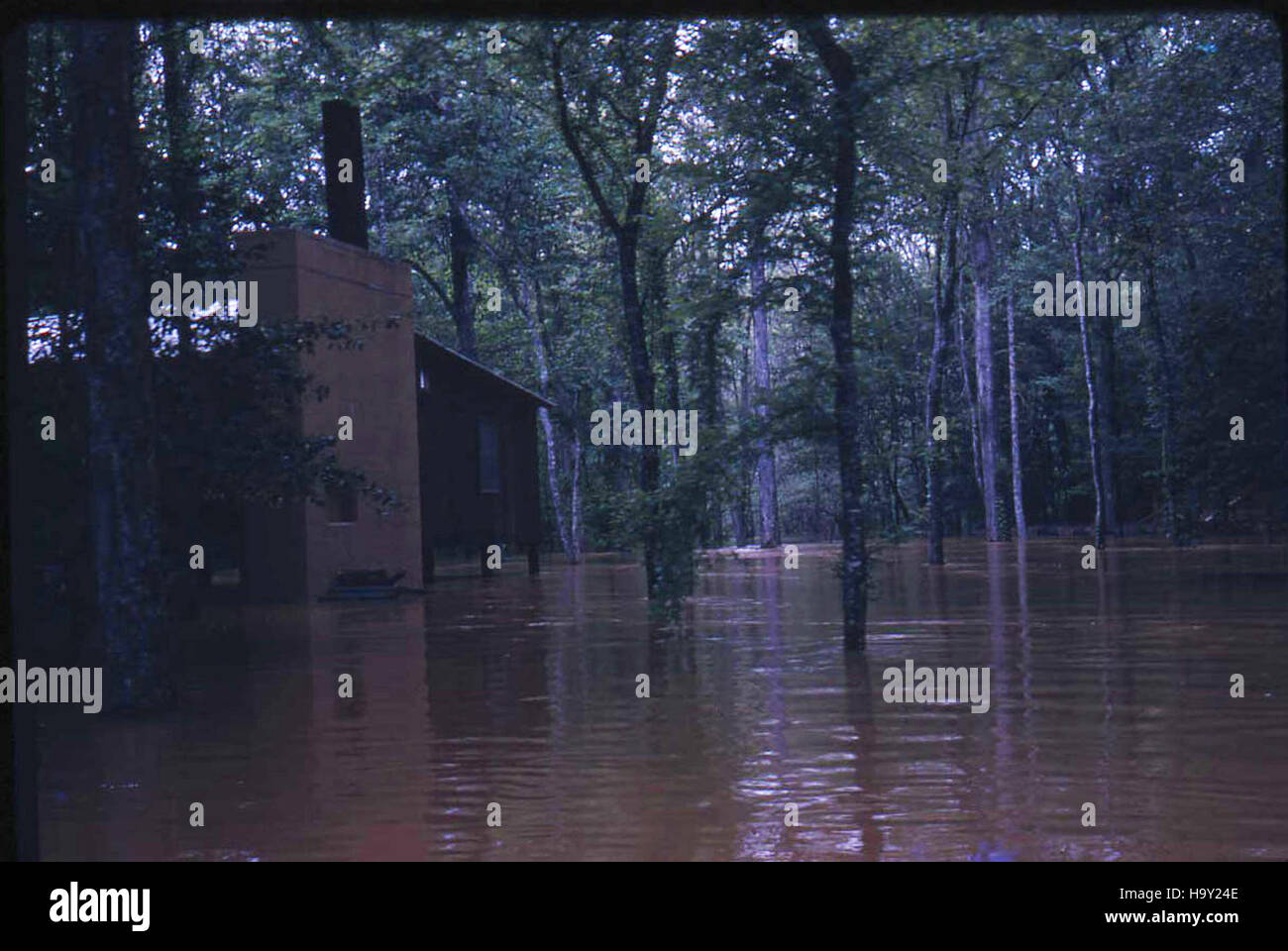 The Cedar Creek Hunt Club in Congaree National Park provides a ...