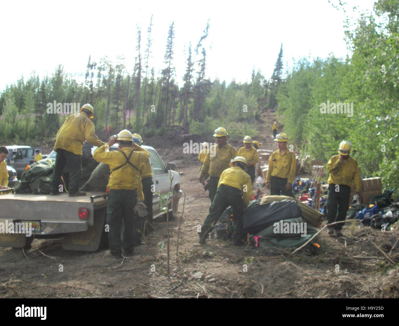 A photo showing the aftermath of forest fires near Moon Lake, focusing ...