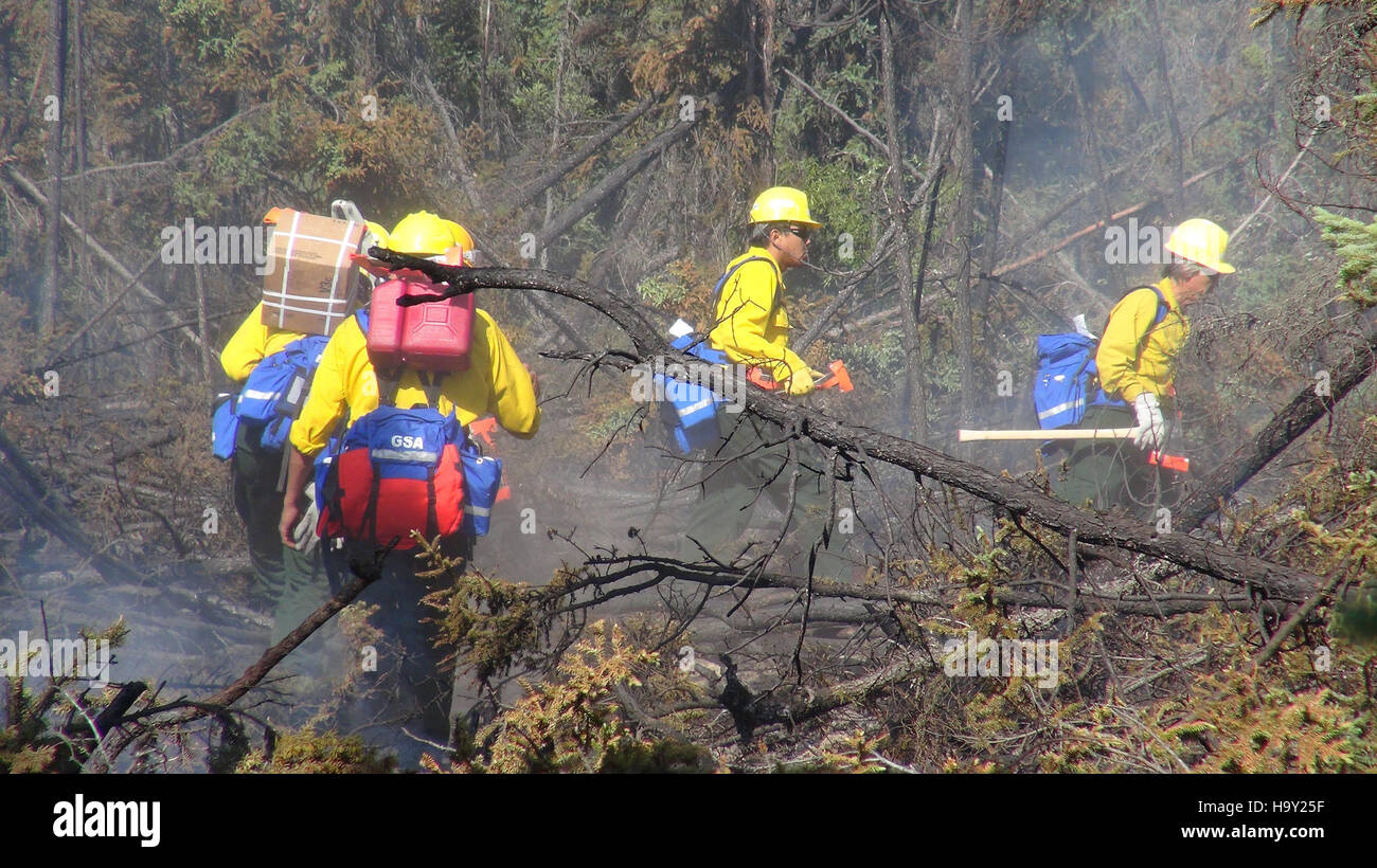 A controlled forest fire management project at Moon Lake, managed by ...