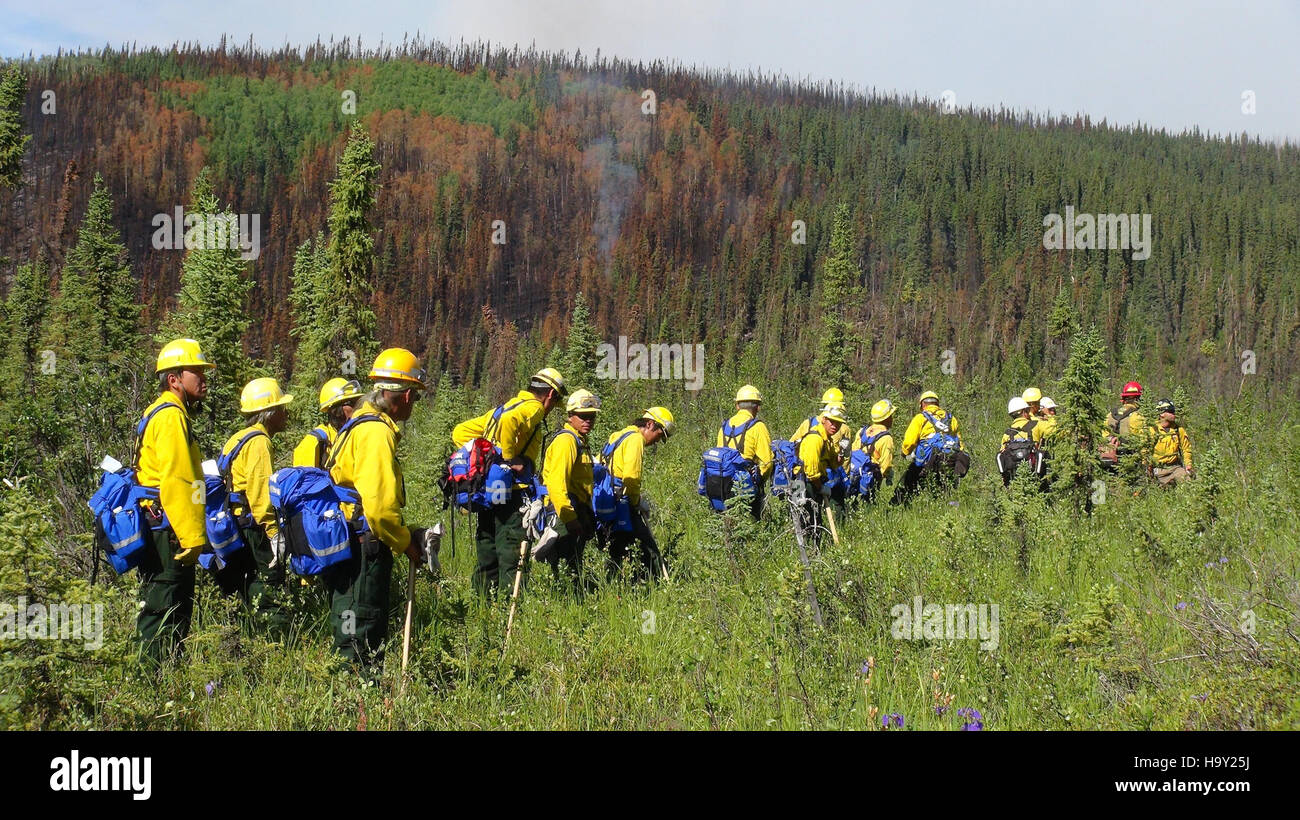 A forest fire near Moon Lake highlights the importance of fire ...