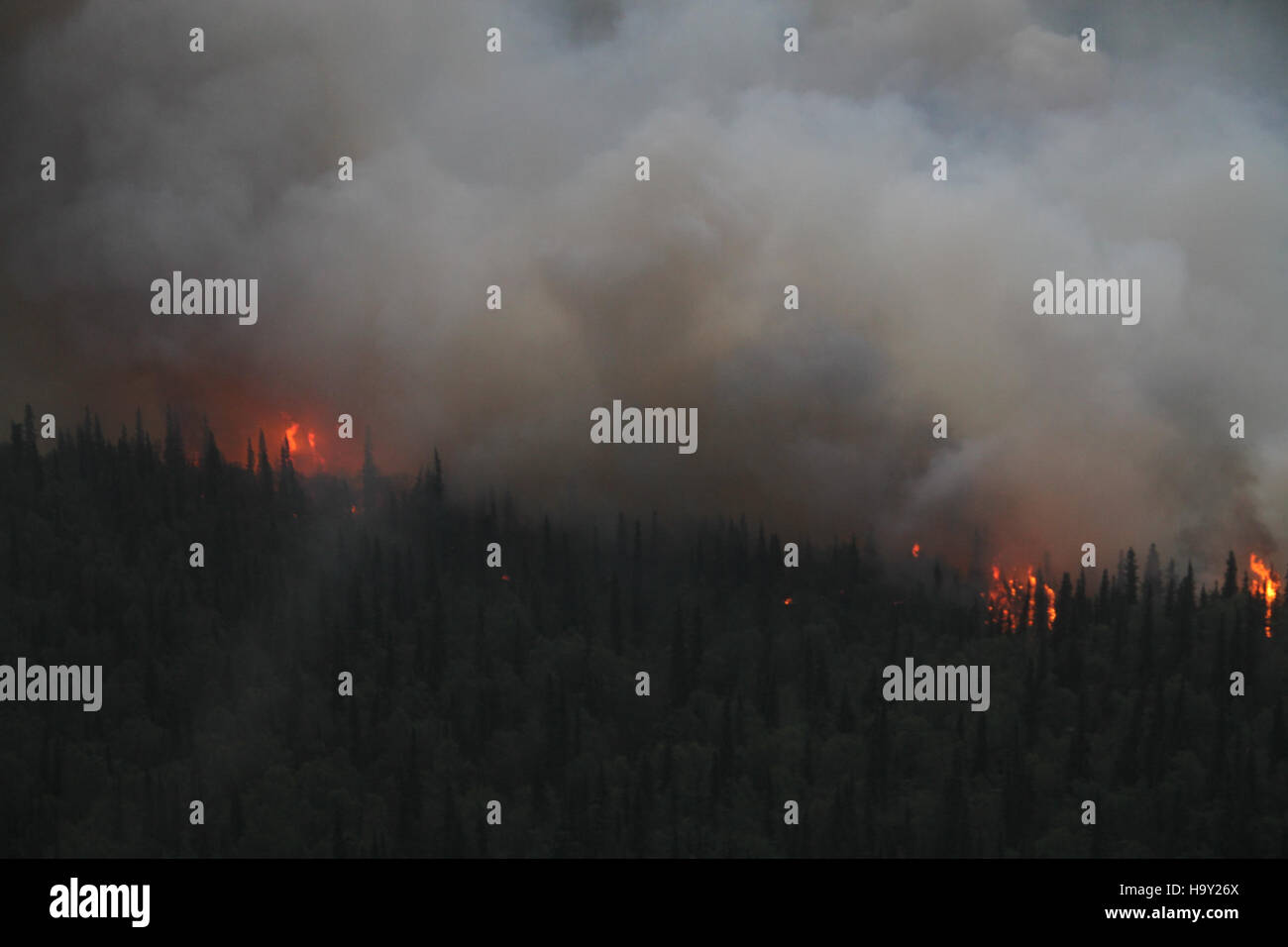 The Currant Creek Fire in Lake Clark National Park was a wildfire event ...
