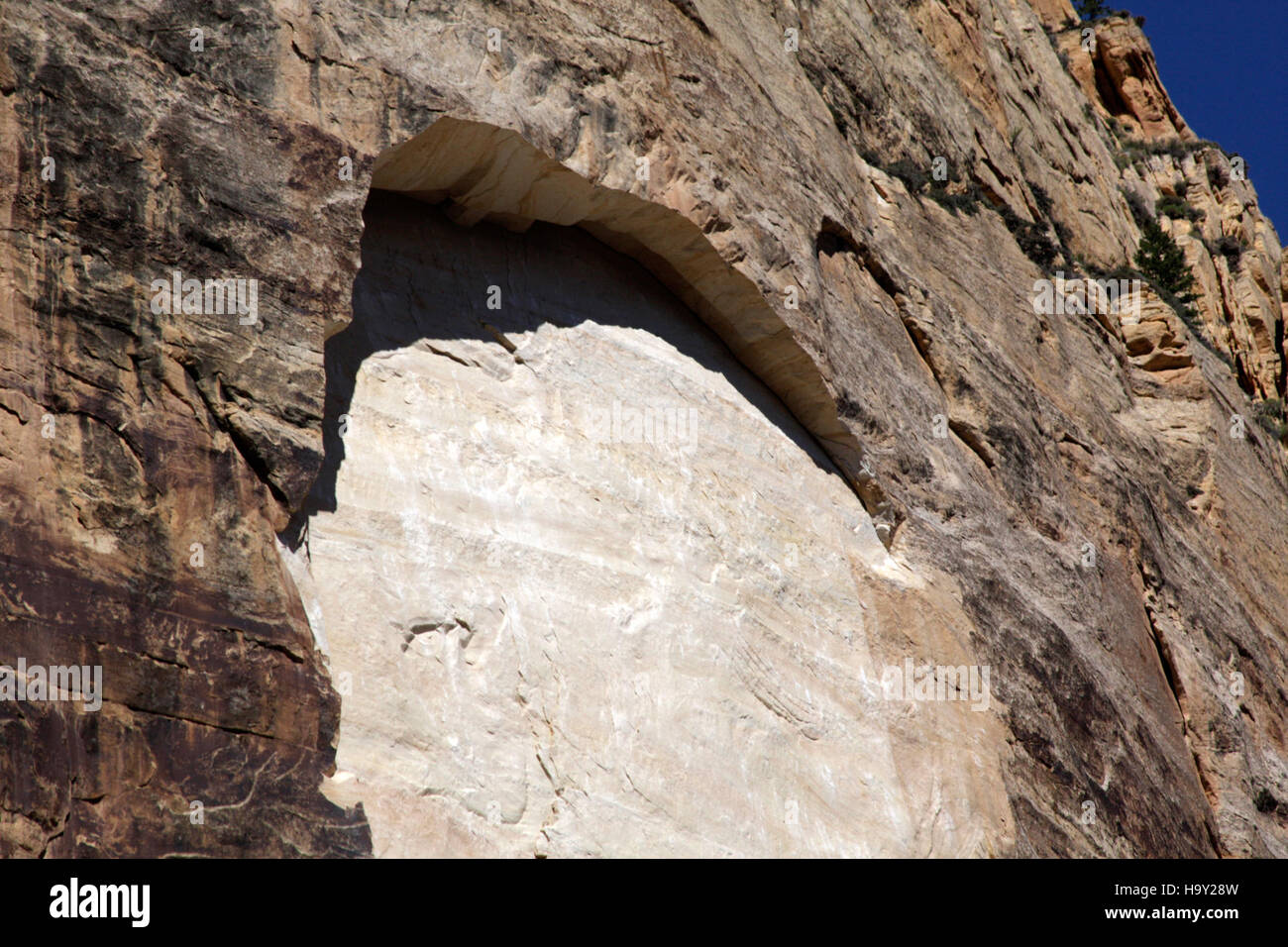 Dinosaurs once roamed the lands that are now protected as national ...