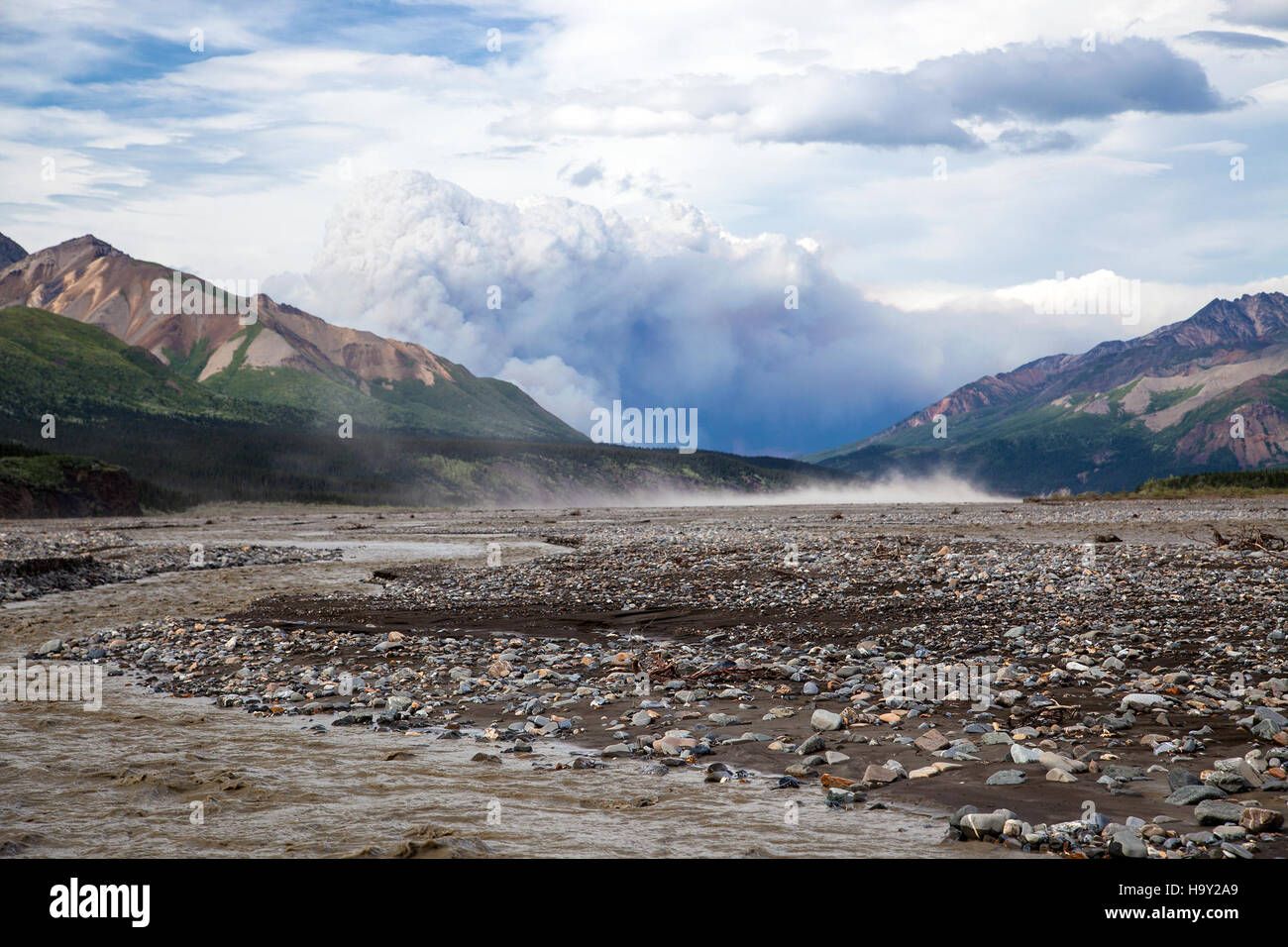 Climate change affecting wildlife hi-res stock photography and images ...