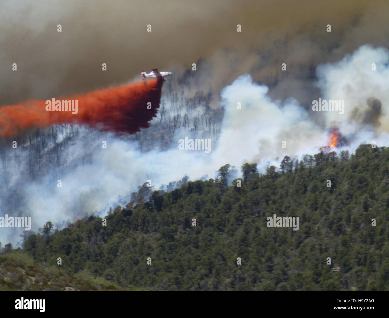 This image shows the aftermath of the Carpenter Fire, one of several ...