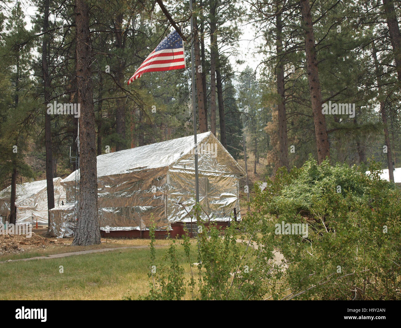 Carpenter Fies forest fires in U.S. national forests emphasize the ...