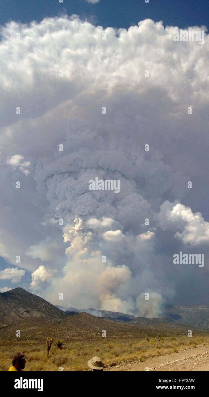 This image shows the aftermath of a forest fire managed by the U.S ...