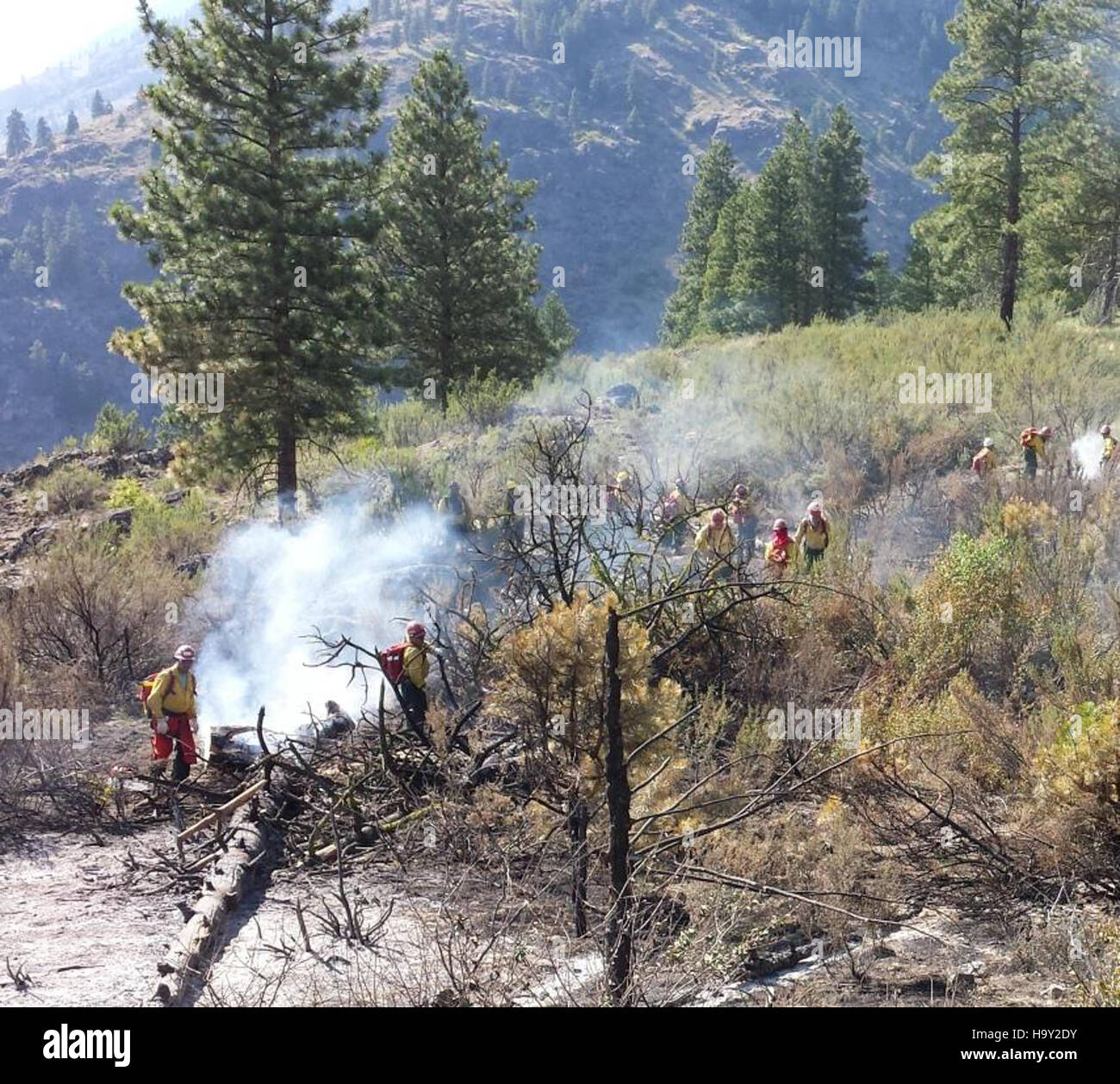 The 25 Mile Fire was a significant forest fire that impacted land and ...