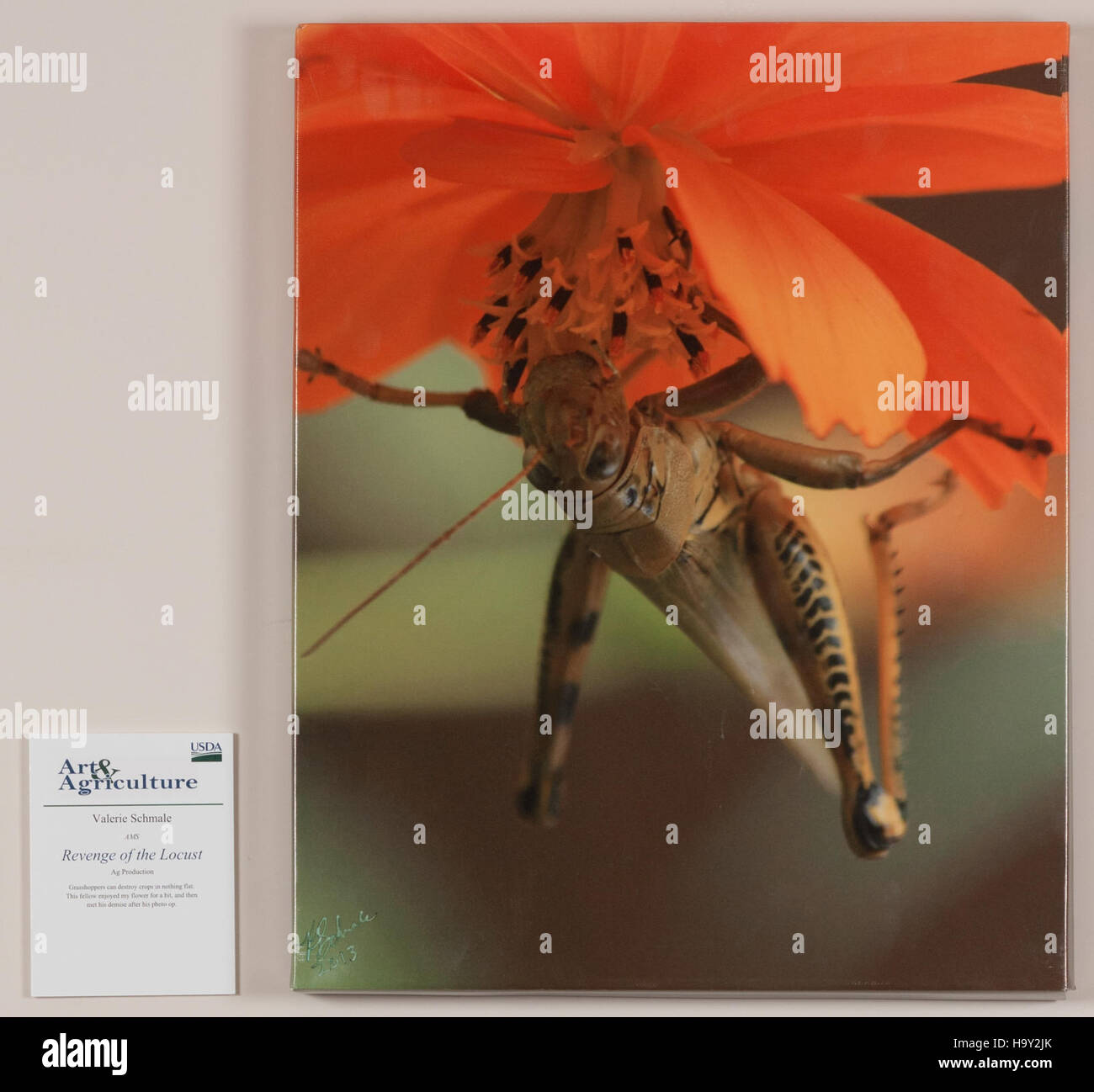 The USDA displayed an art exhibit in Washington DC to celebrate its ...