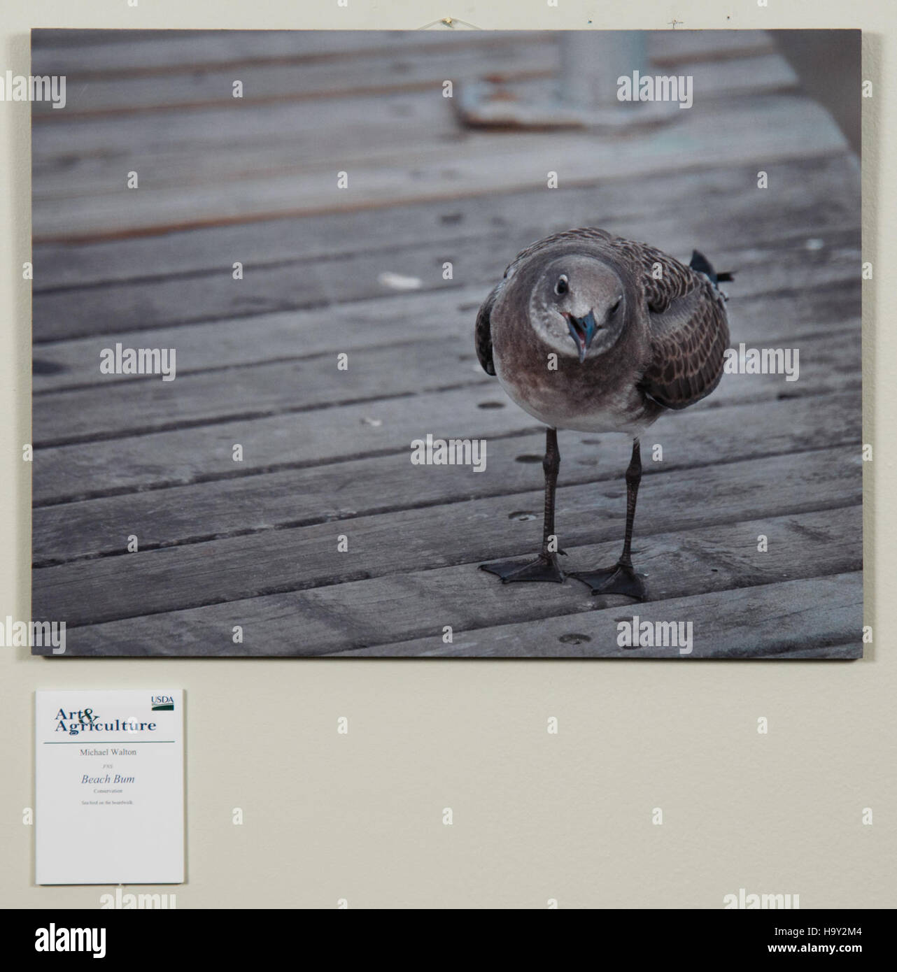 The USDA Agriculture Art Display in Washington D.C. highlights ...