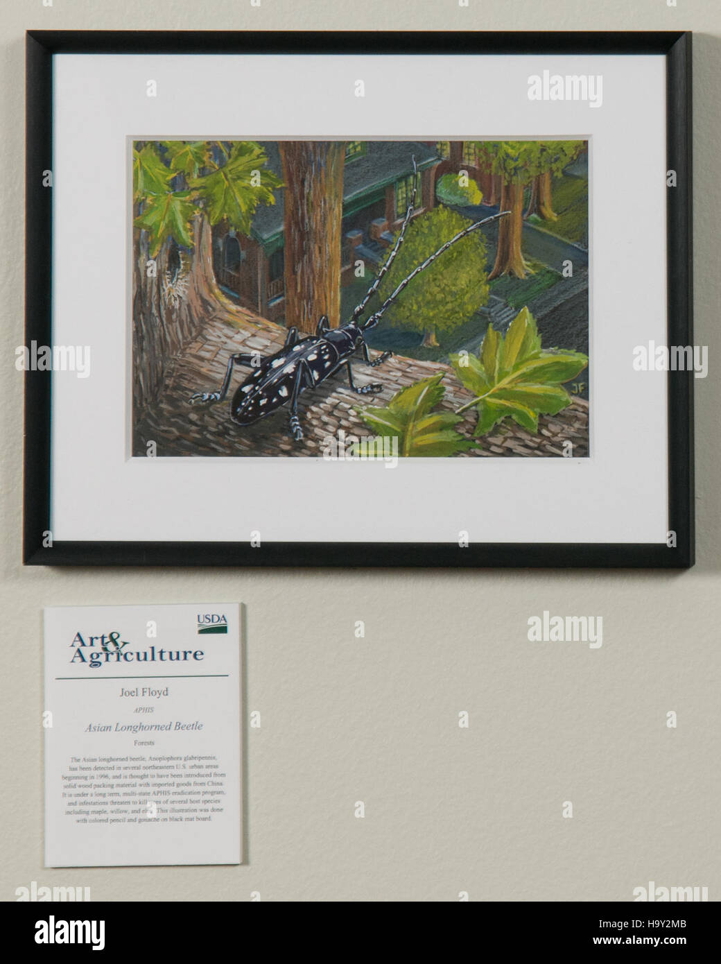 The USDA hosts an agricultural art display at its Washington, D.C ...