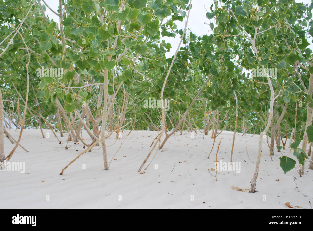 A rio hi-res stock photography and images - Alamy