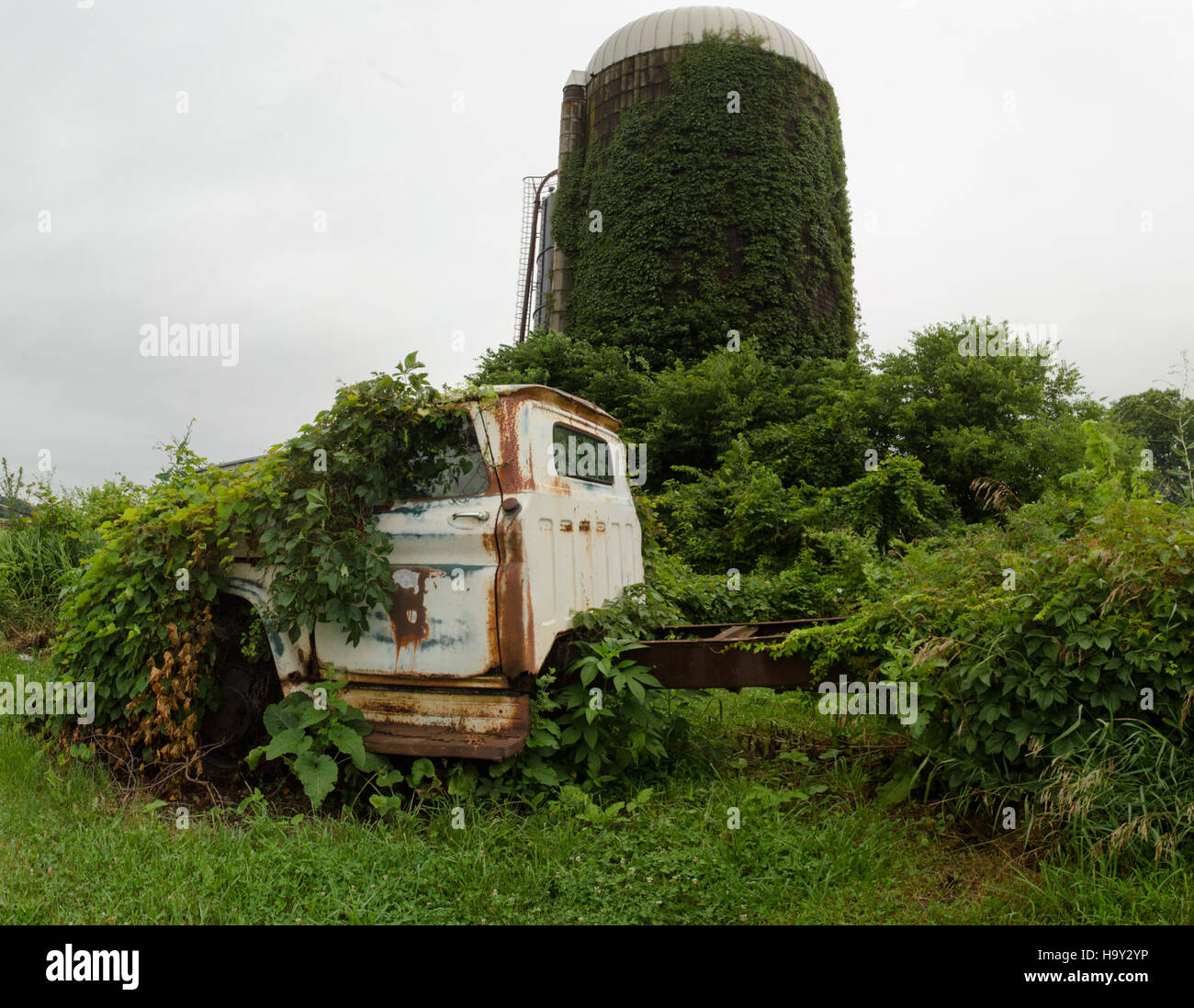 Nick’s Organic Farm in Maryland produces a variety of organic crops and ...