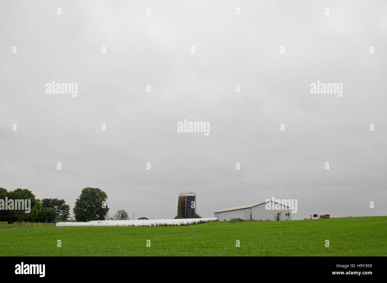 Nick's Organic Farm in Maryland produces organic hay, soybeans, corn ...