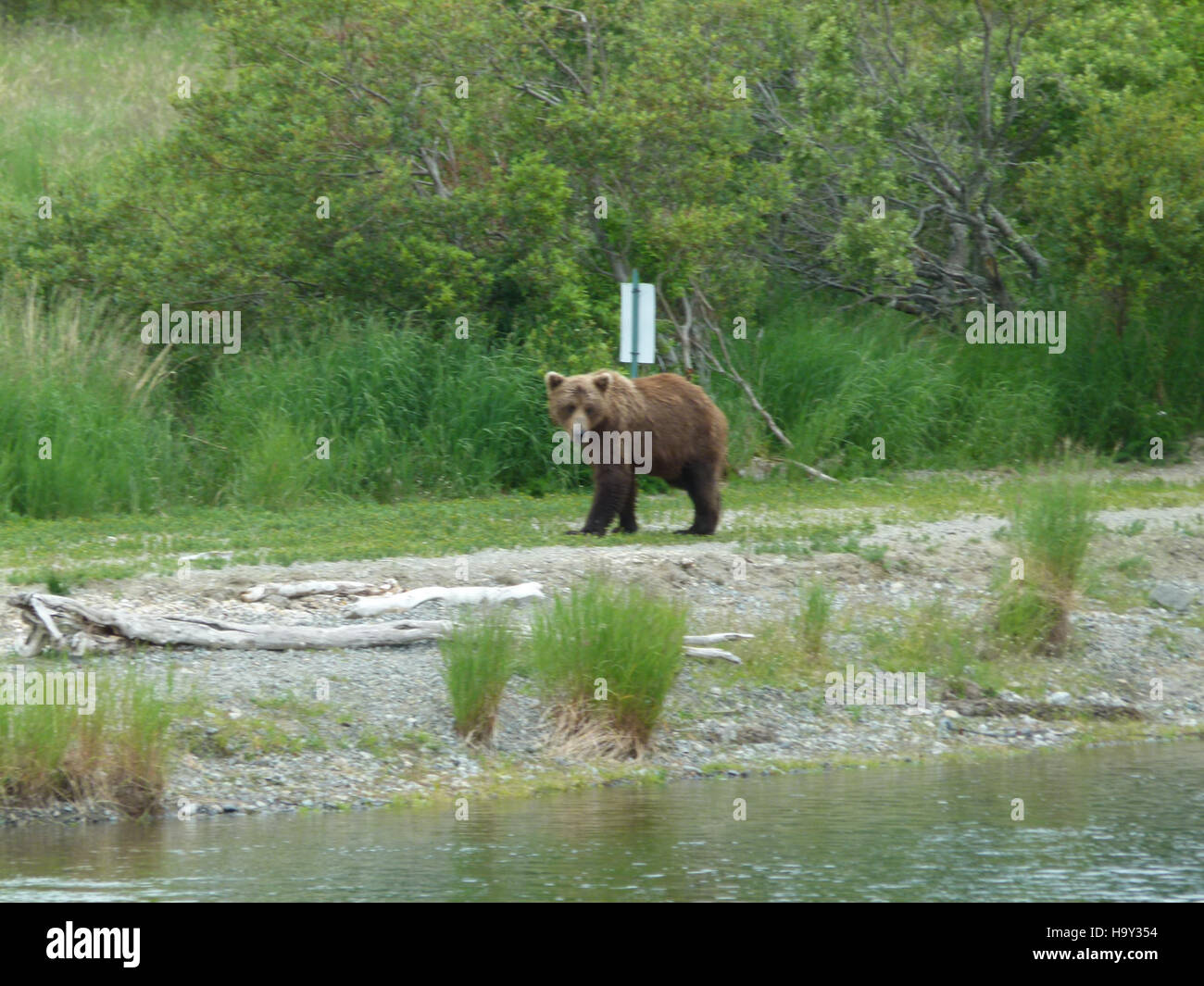 An image from Katmai National Park showcasing the beauty of nature ...