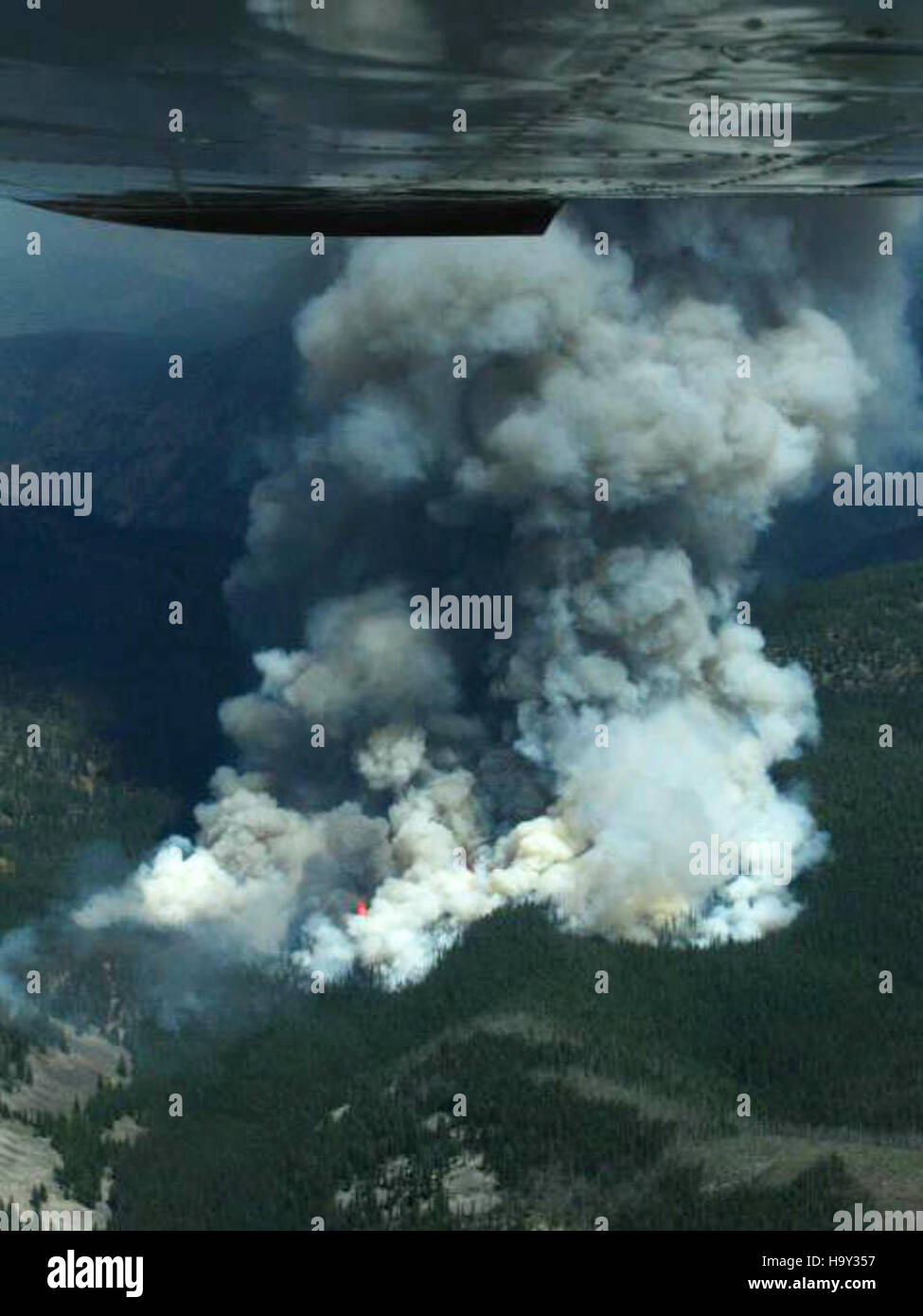 The Gold Pan Complex Fire in the U.S. was an intense wildfire event ...