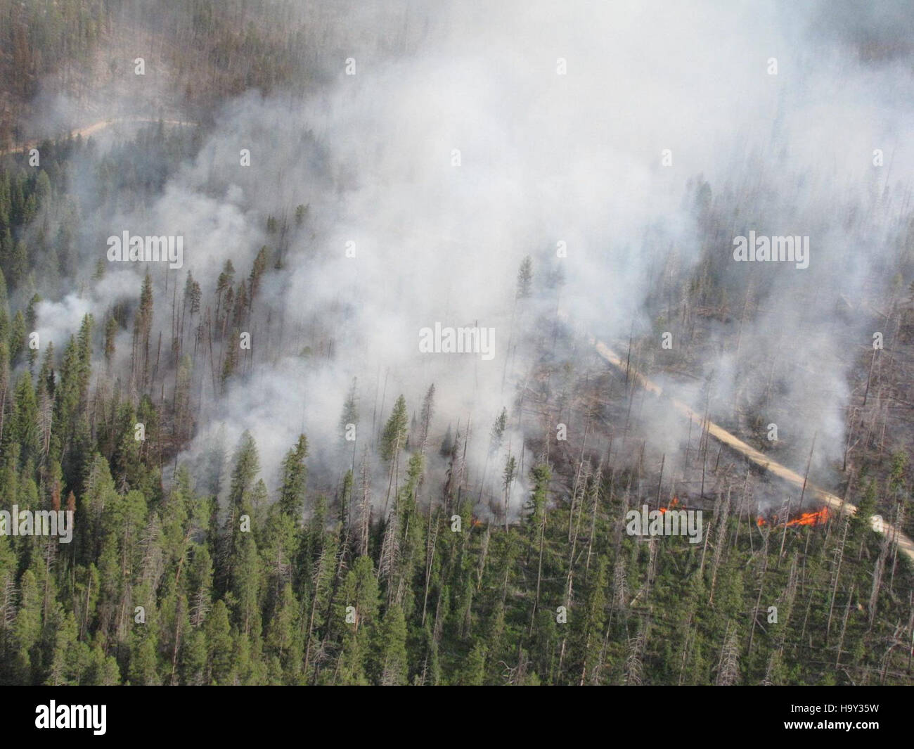 A photo of the Gold Pan Complex Fire in a U.S. Forest area, captured ...