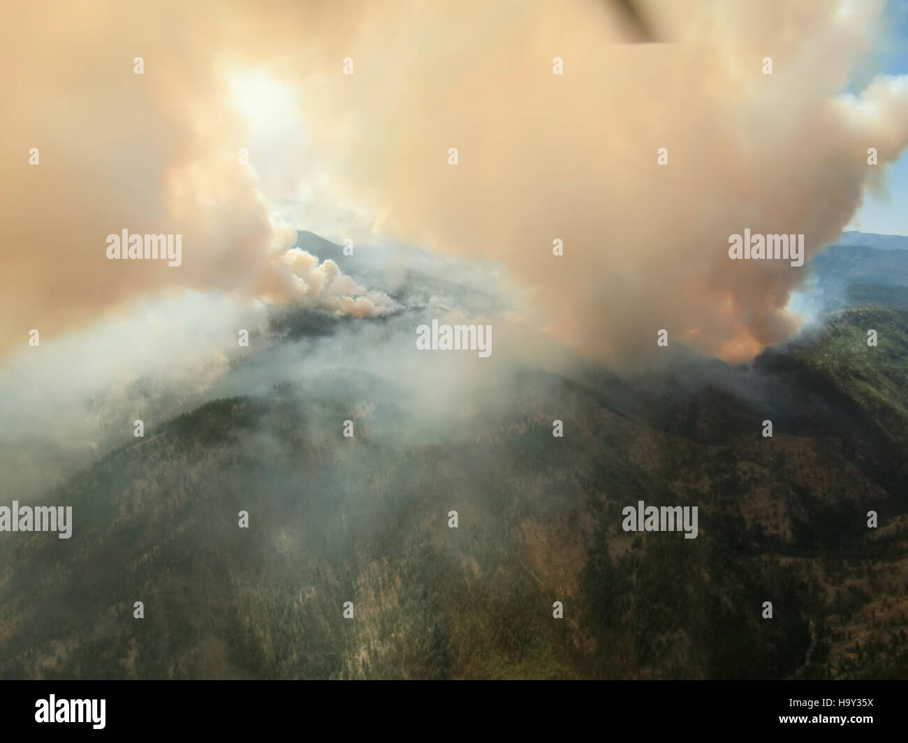 The Gold Pan Complex Fire was a significant forest fire event that ...