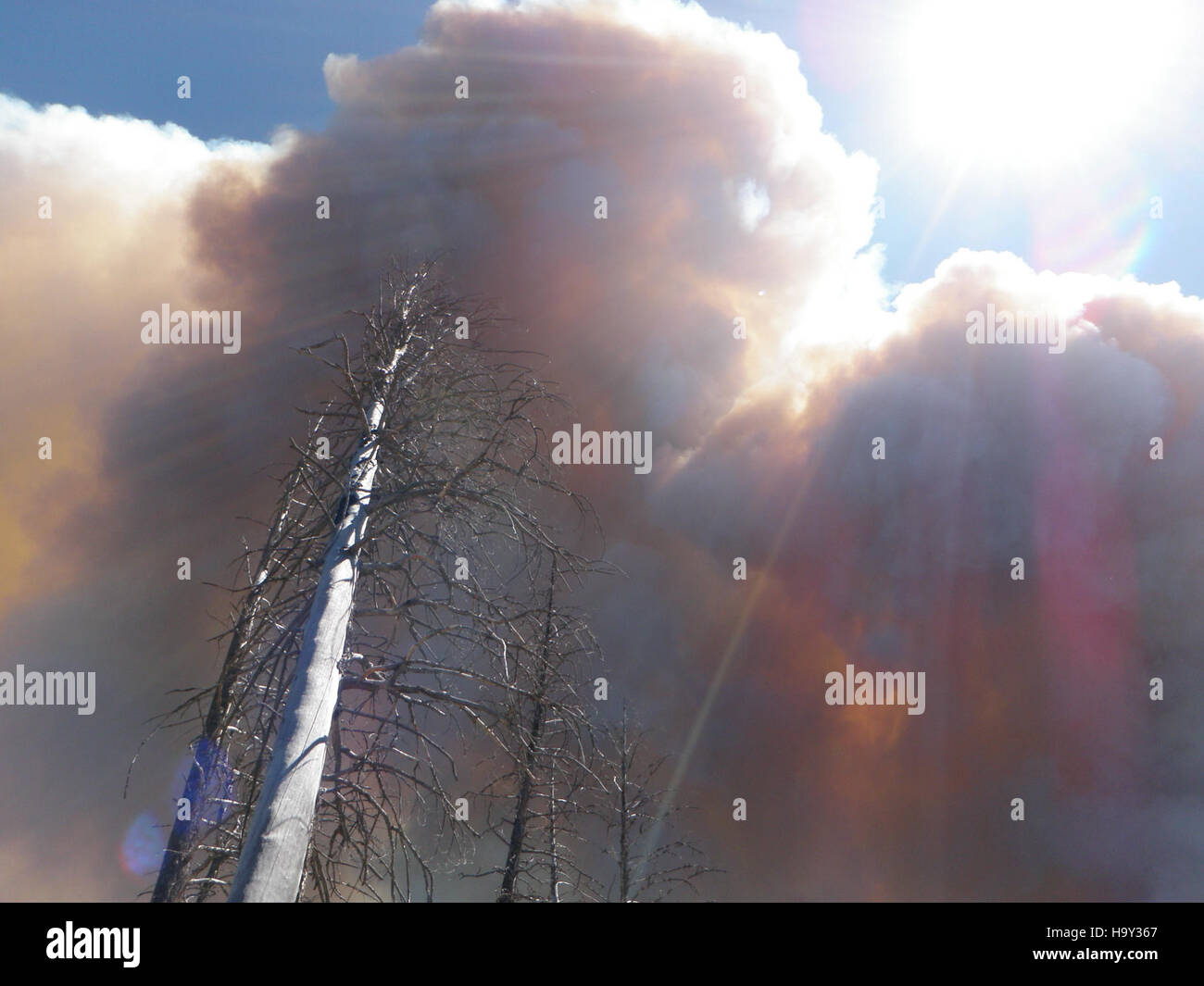 The Gold Pan Complex Fire in Idaho was managed by the USDA Forest ...
