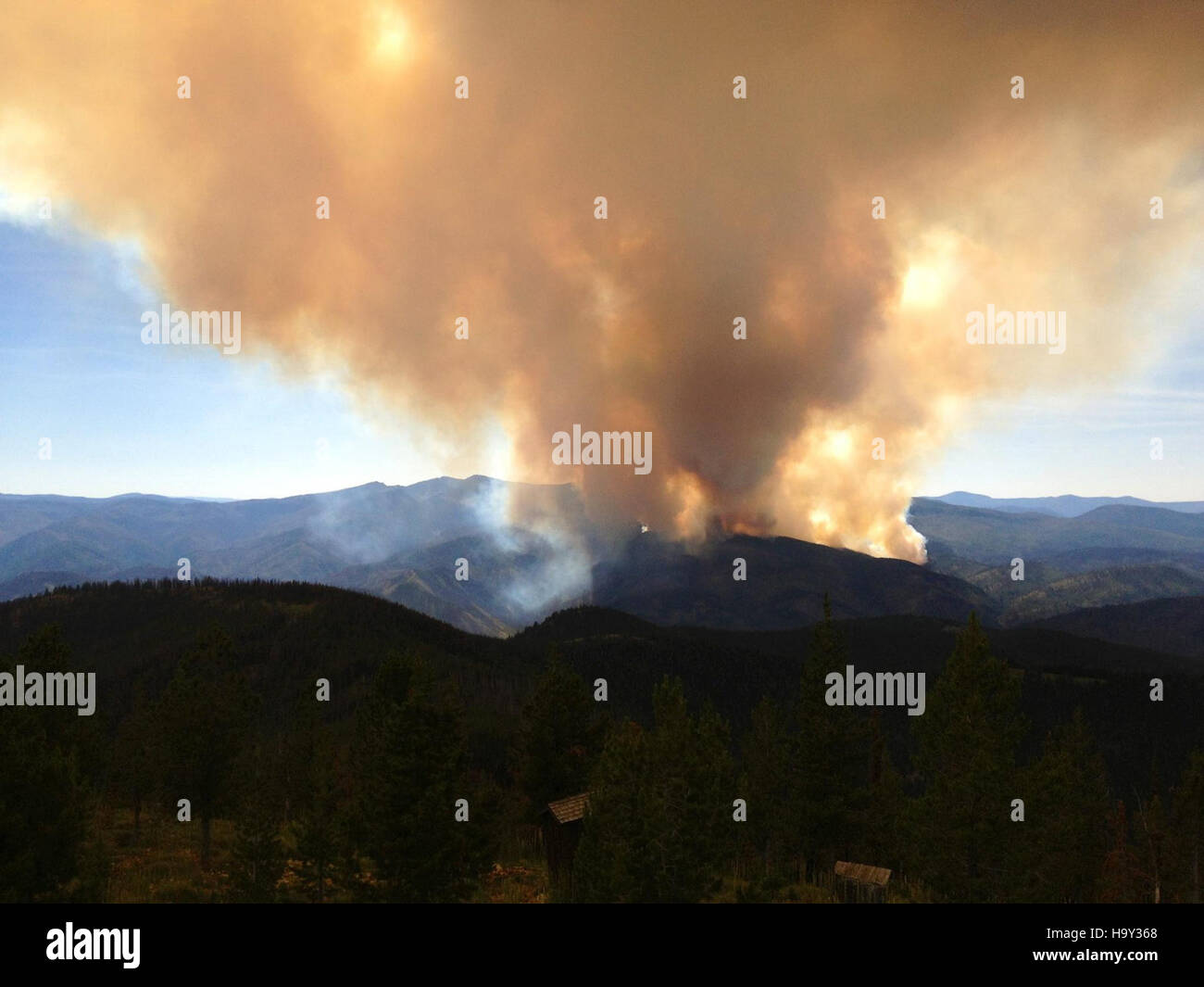 The Gold Pan Complex Fire in 2013 was a significant wildfire that ...