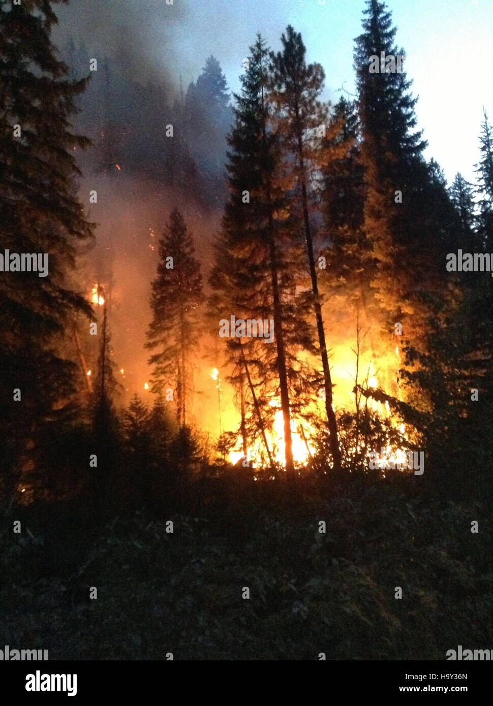 Gold pan complex fire hi-res stock photography and images - Alamy