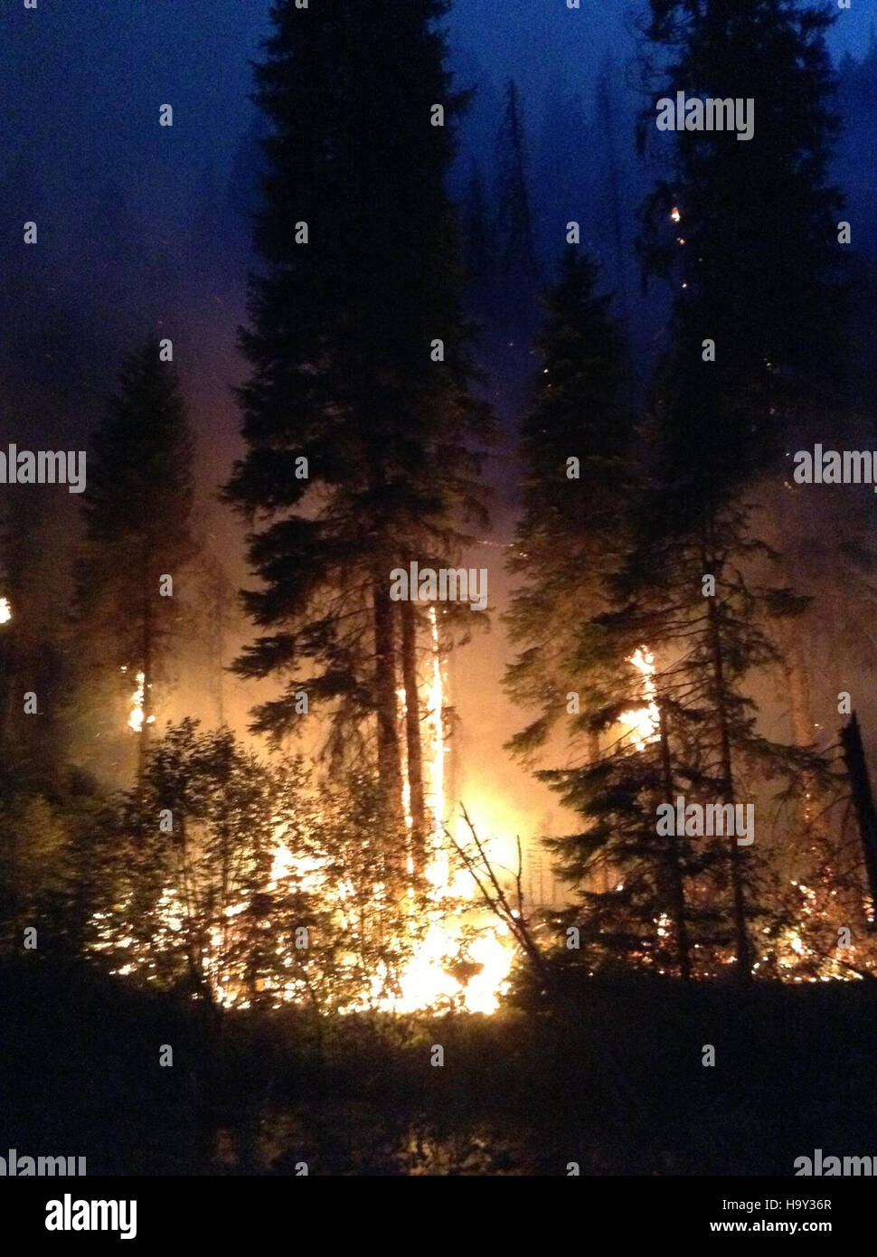 The USDA photo depicts the Gold Pan Complex Fire, an important wildfire ...